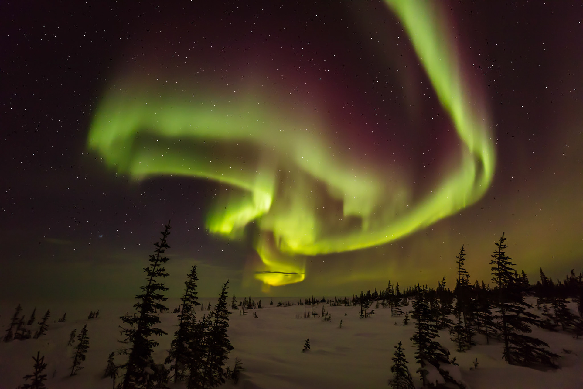 Andrew Partridge - Aurora Borealis