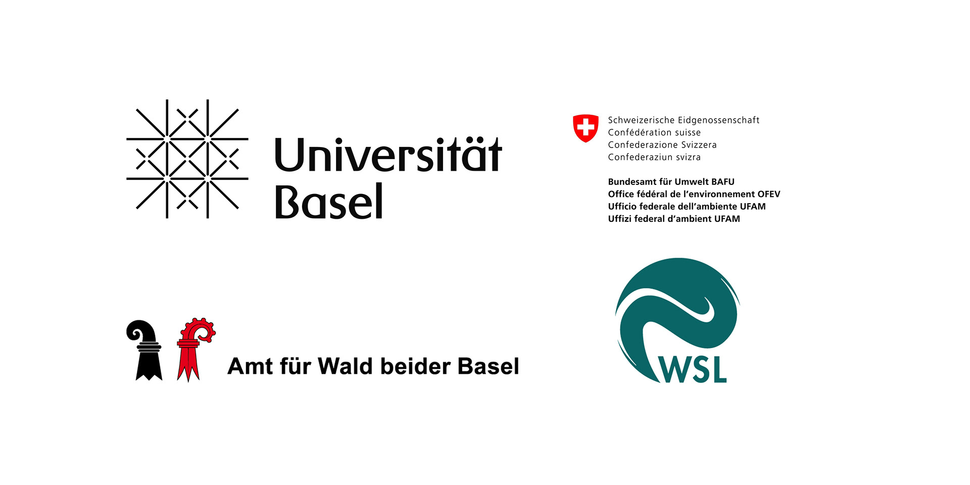 Halil Kesselring alivesea - Swiss Canopy Crane II