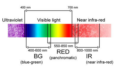 Brookman Photography - Infrared