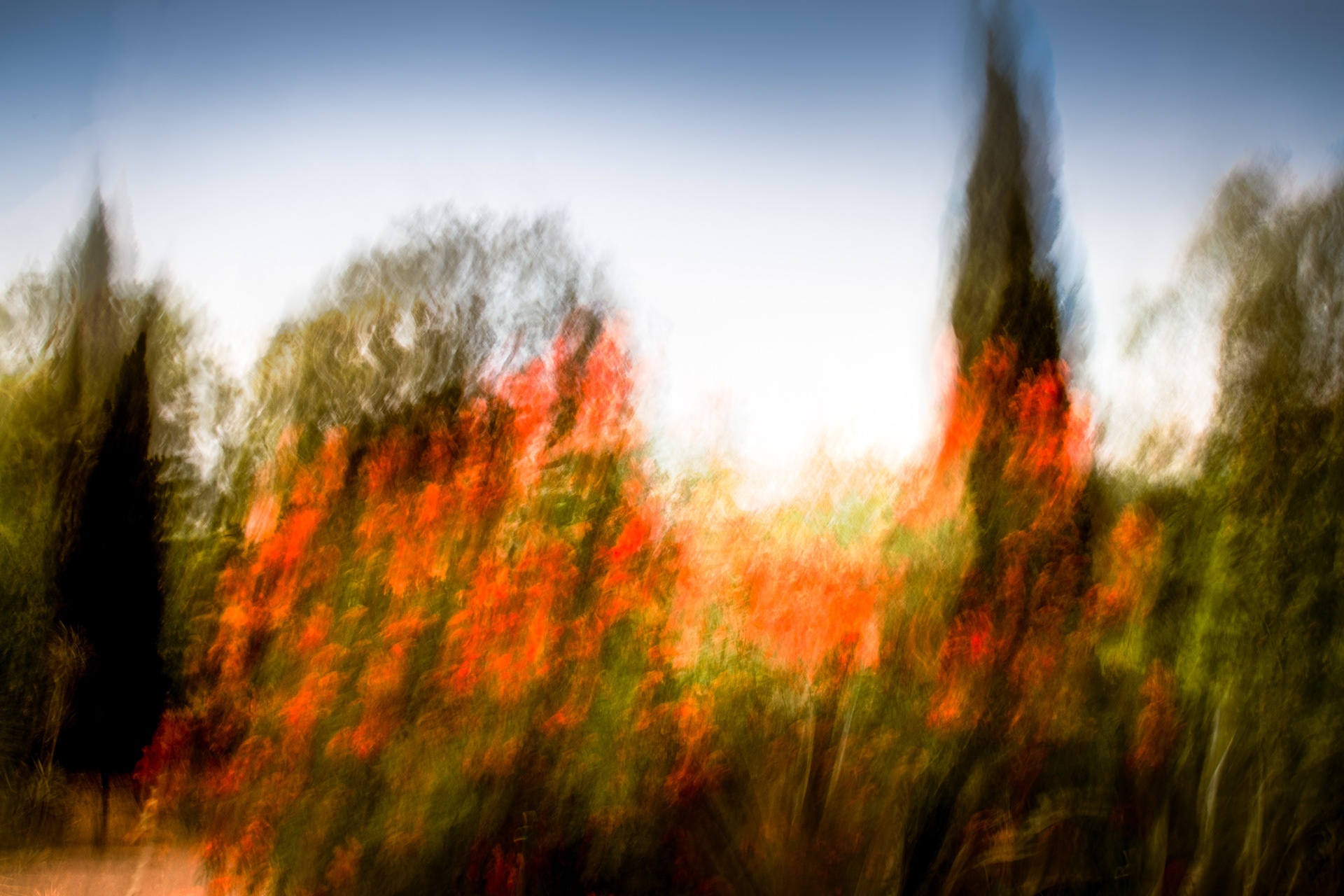 Brookman Photography - Impressionism