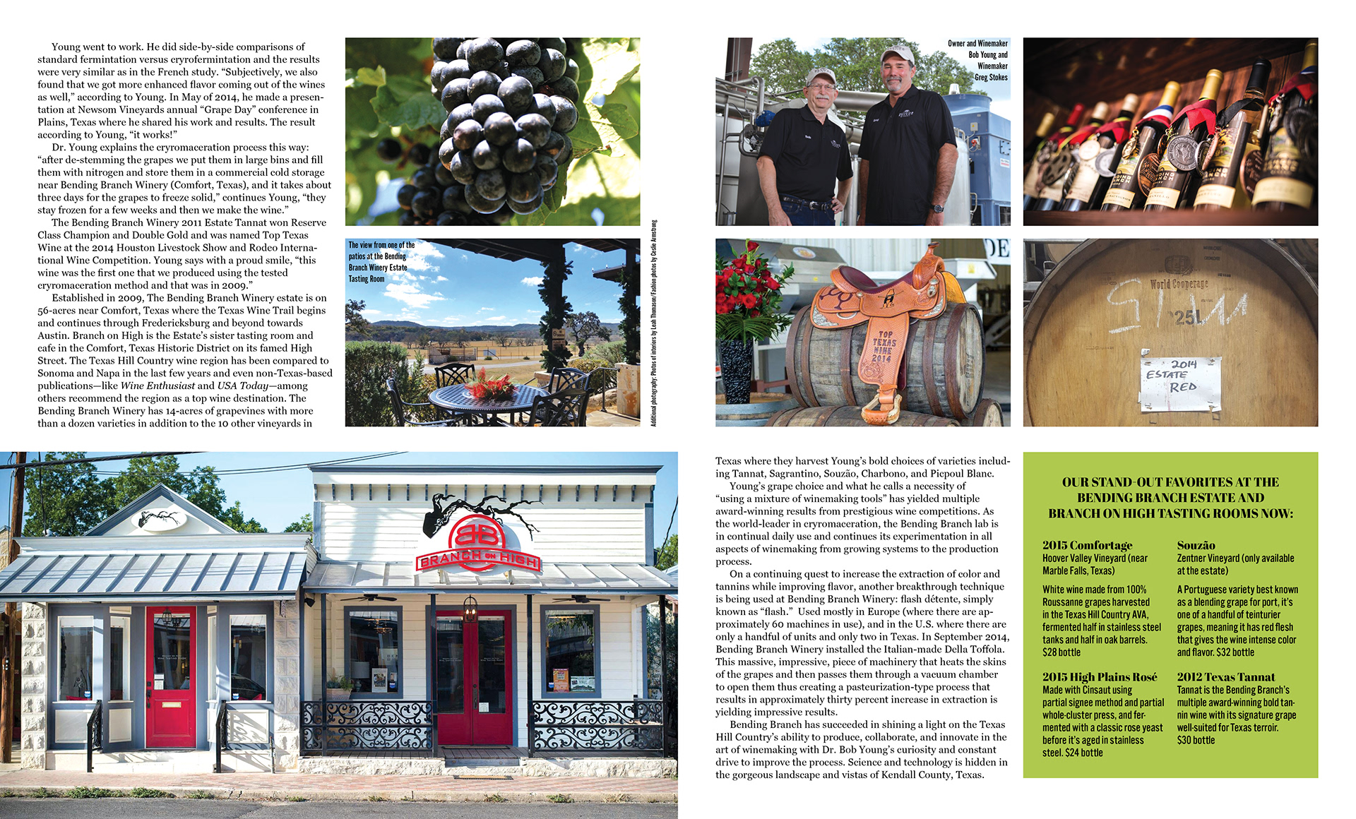 Stephanie Locke - LIMESTONE Magazine