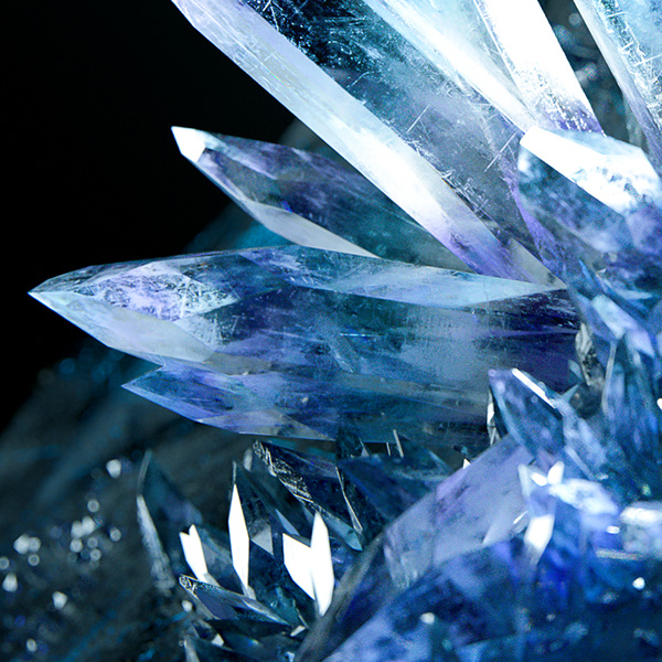 Ryo Asakura(Seventhgraphics) - Camellia "crystallized" Artworks