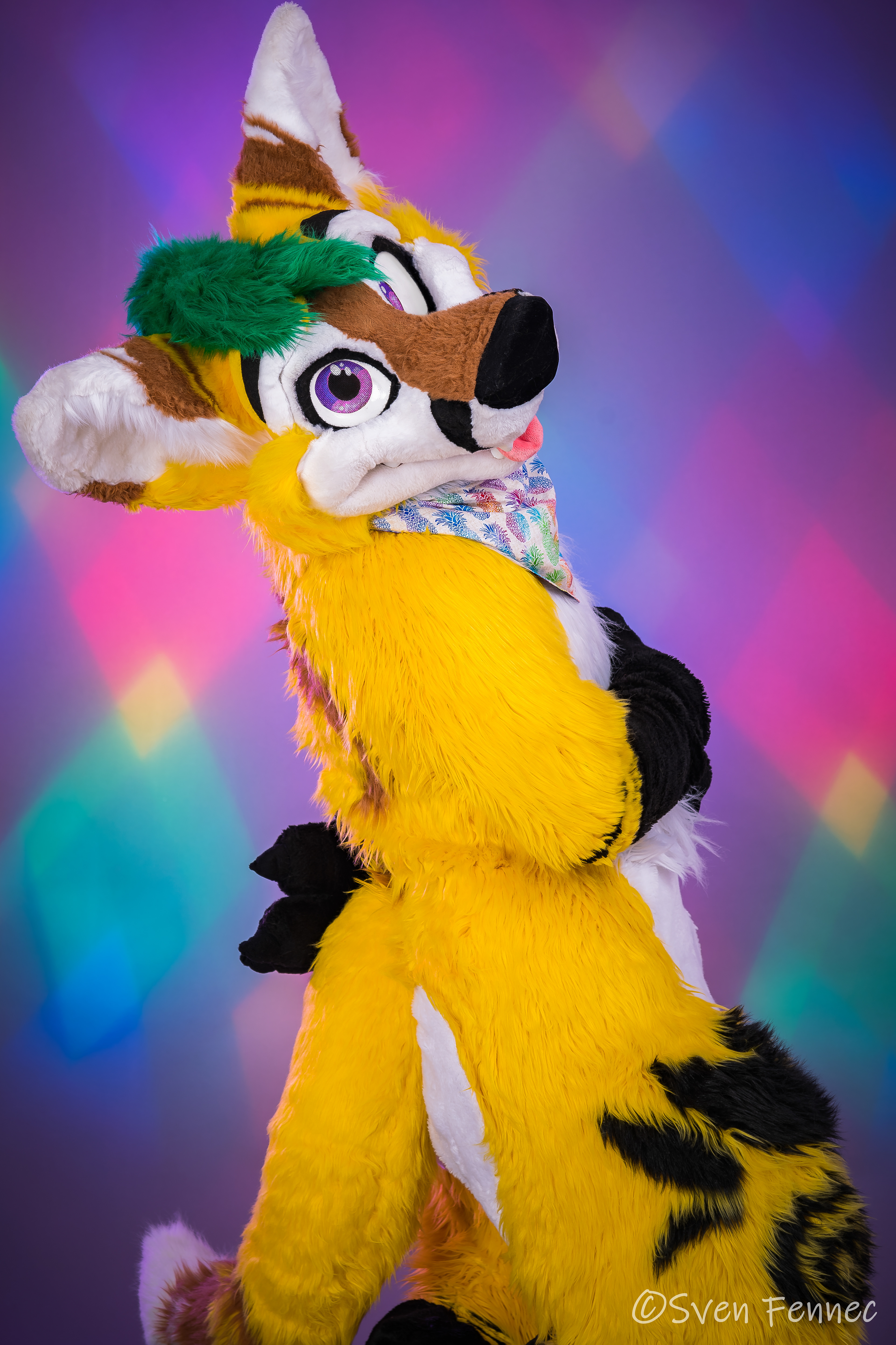 Sven Fennec Photography - 2018-2020 Studio Fursuit Portraits