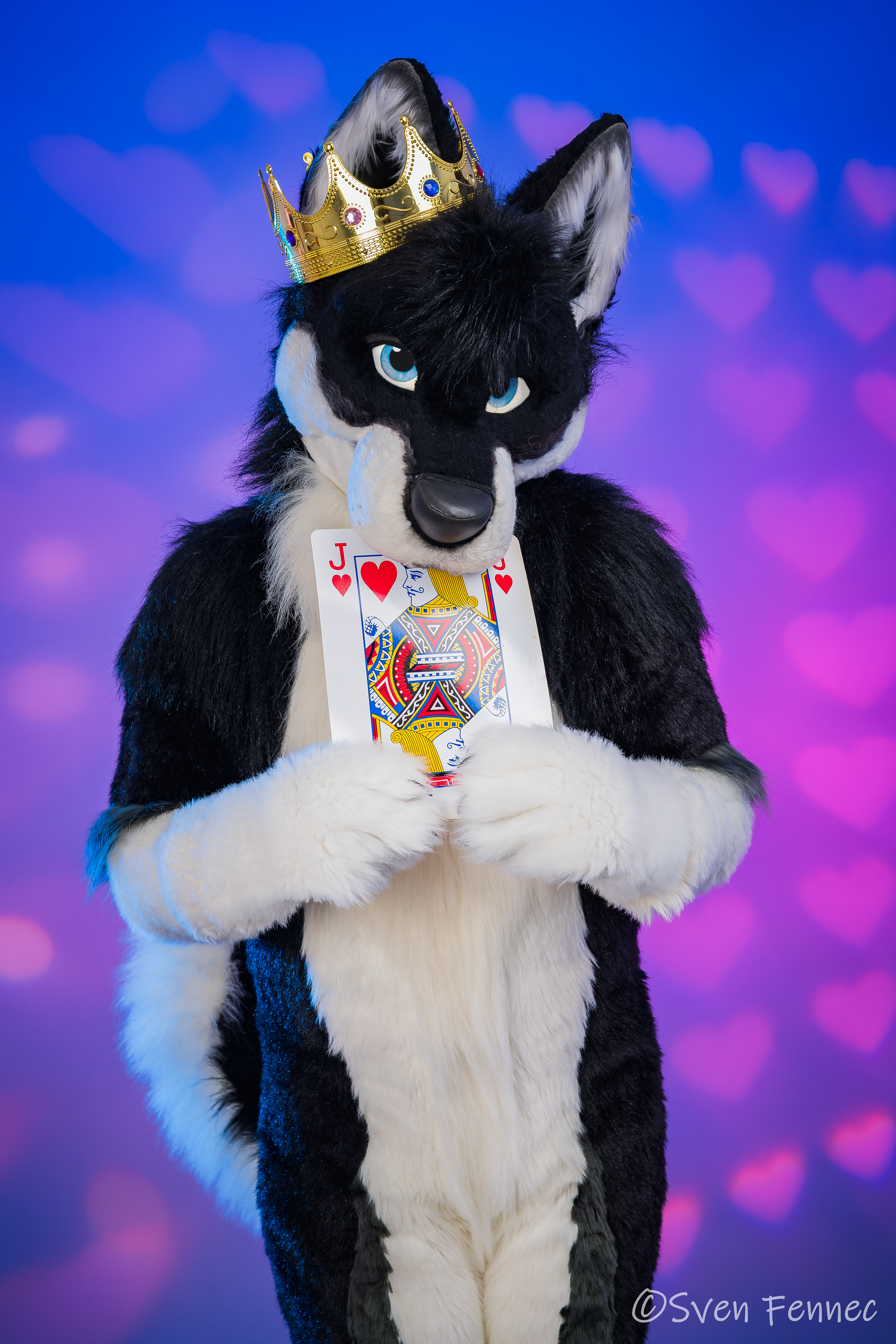 Sven Fennec Photography - 2018-2020 Studio Fursuit Portraits