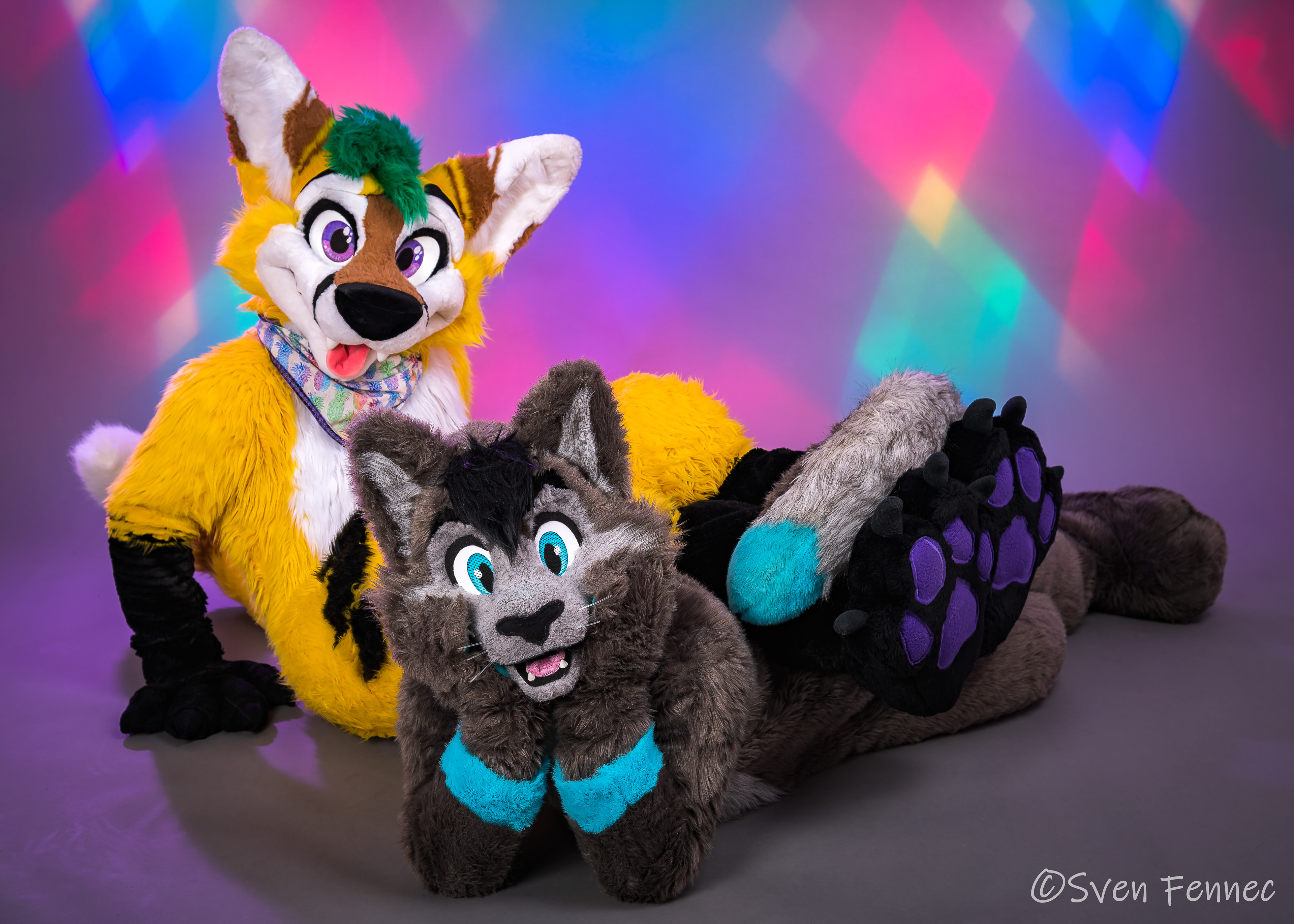 Sven Fennec Photography - 2018-2020 Studio Fursuit Portraits