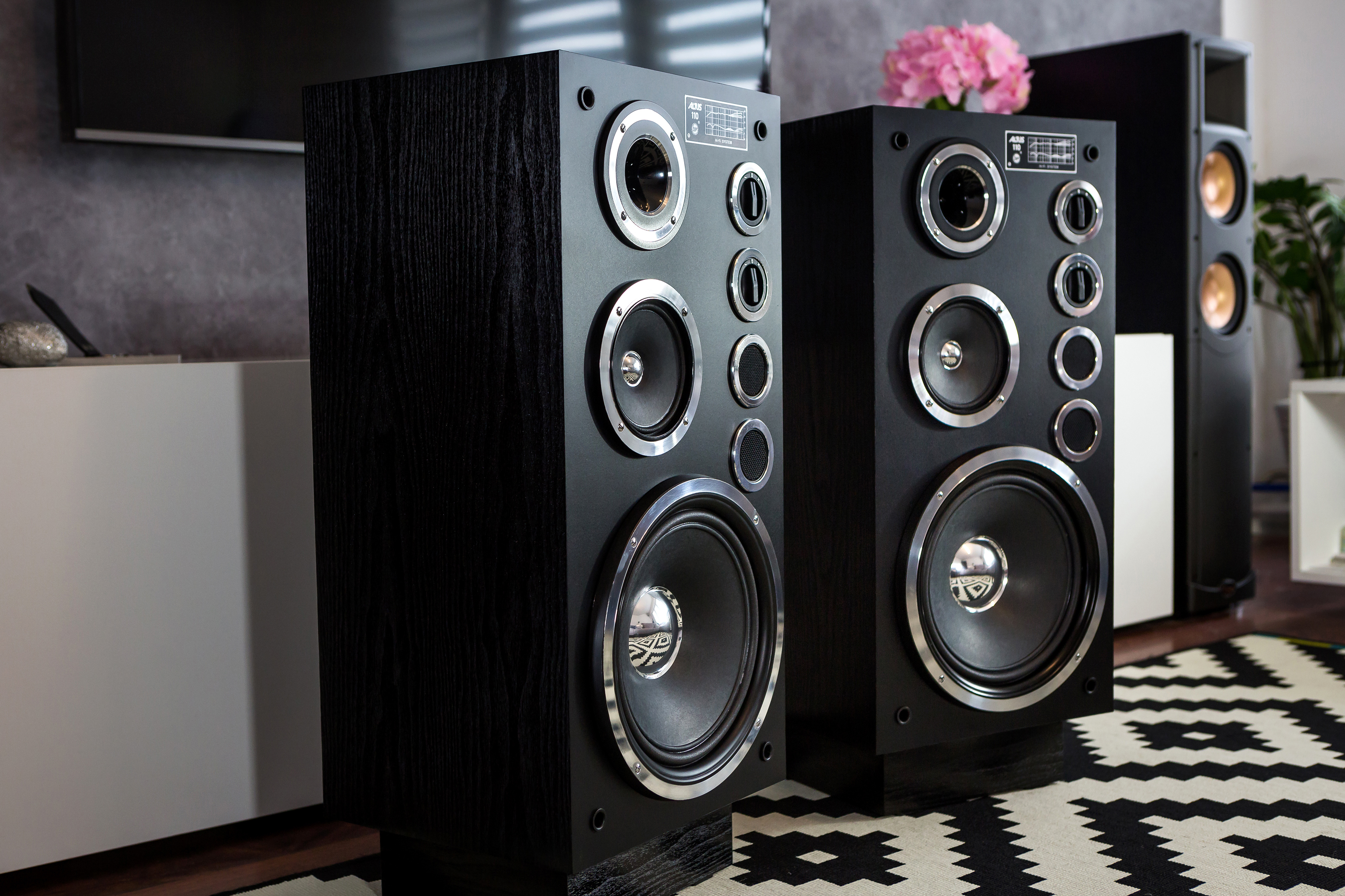 Piotr Pałka | Projekty graficzne | Fotografia - Altus 110 HGS Tonsil