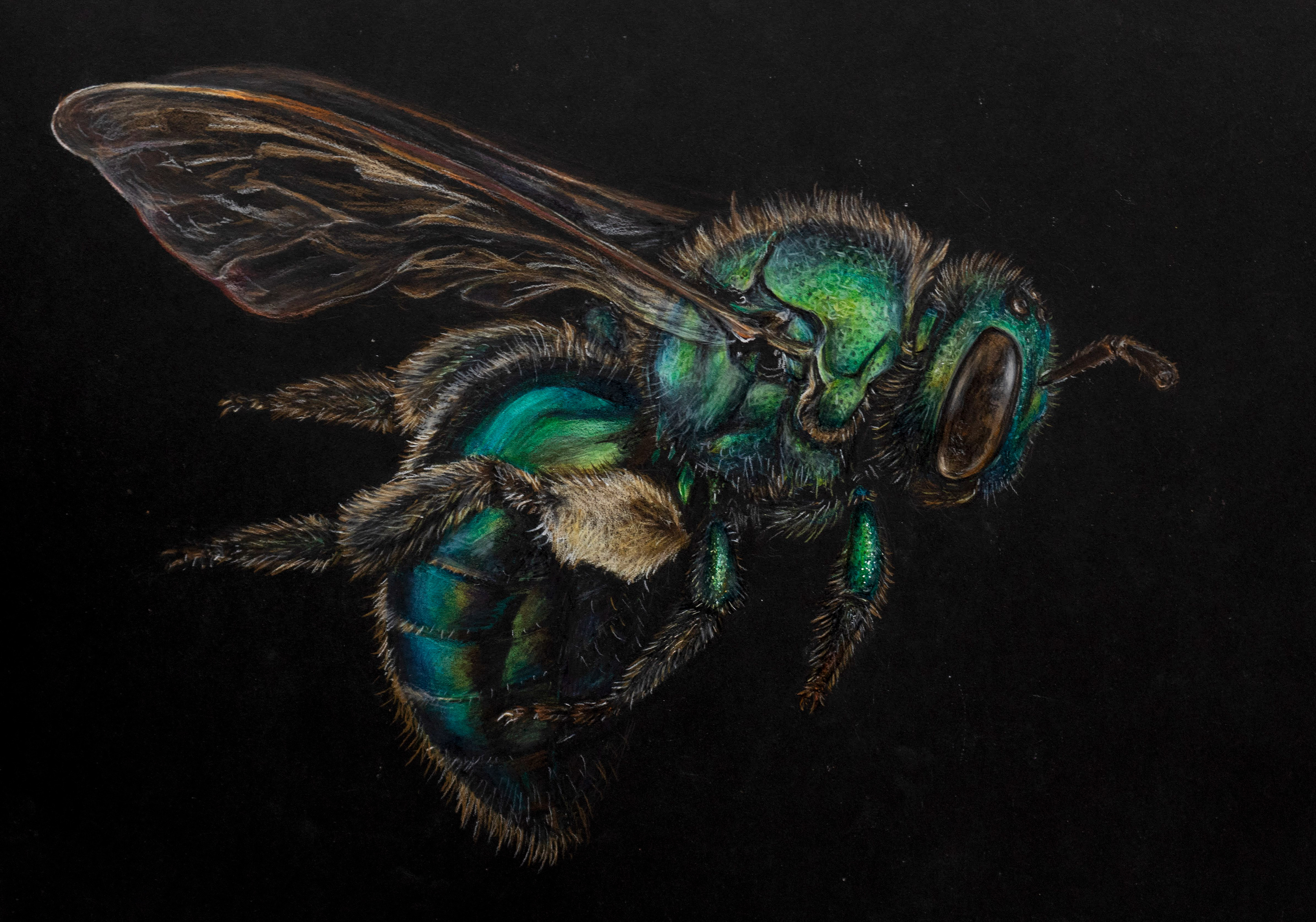 Kelly Stanford - Science Communicator and Artist - Hyper realistic ...