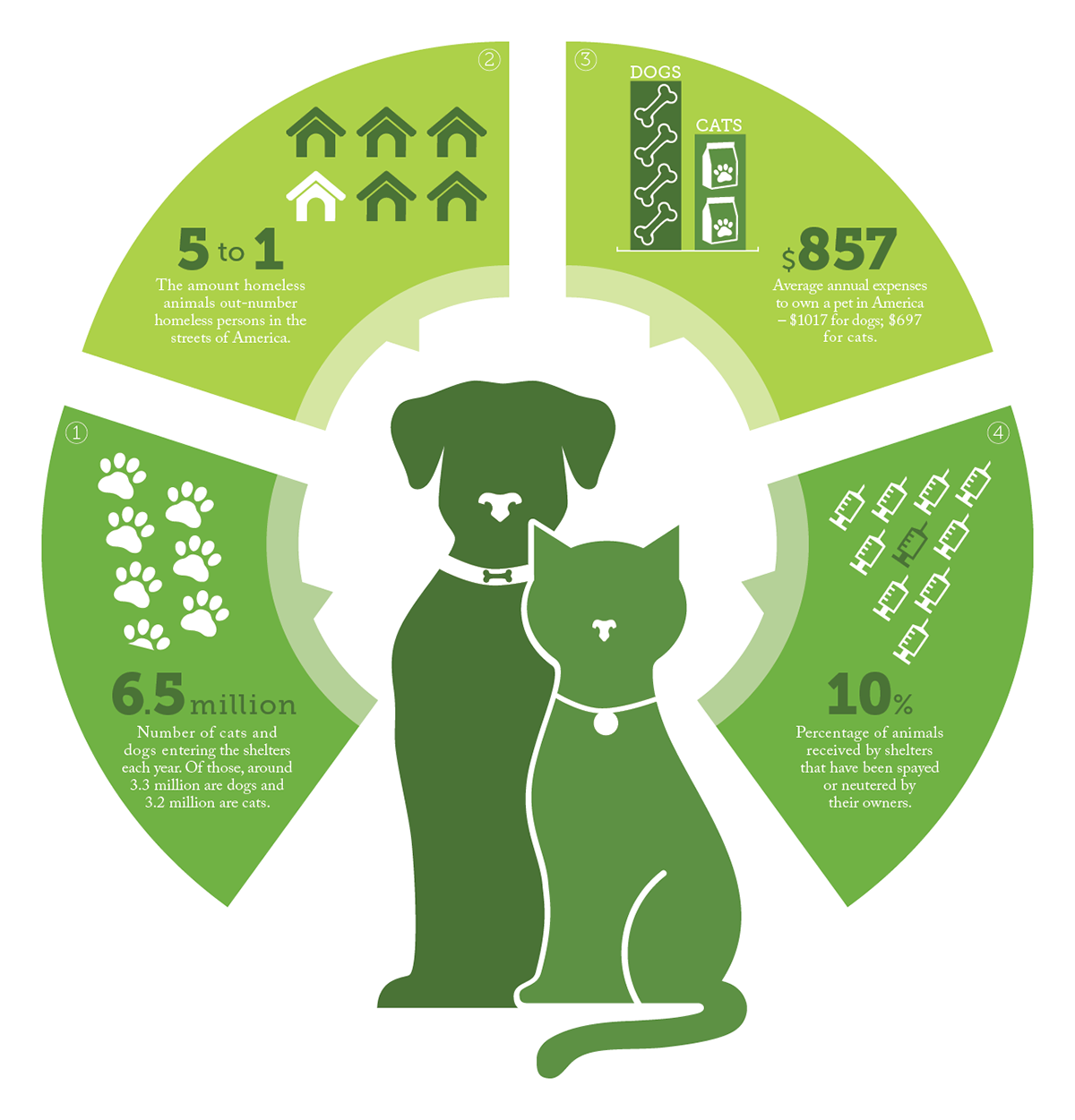 Lauren C. Davis Design Portfolio - Humane Educational Society Infographic