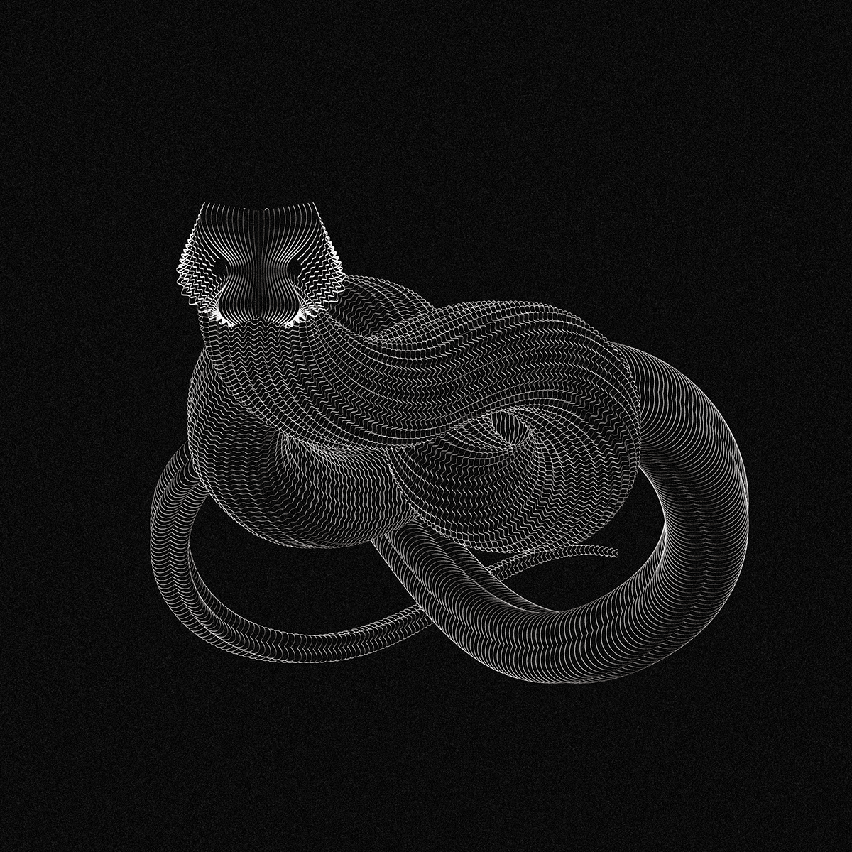 Andrea Minini - Snakes
