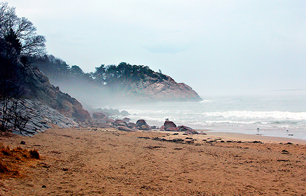 Laura Savidge - New England – Cape Ann and Cape Cod