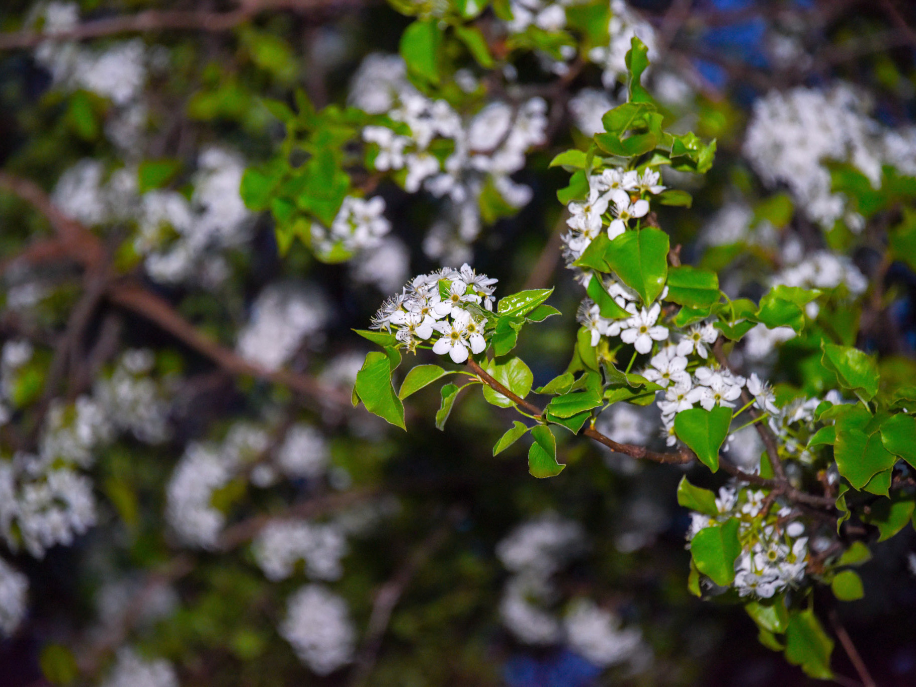 Brian Ajayi Photography