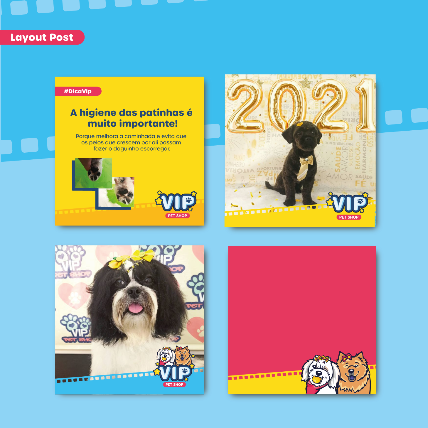 Zamo ilustra - Vip Pet Shop - Identidade Visual