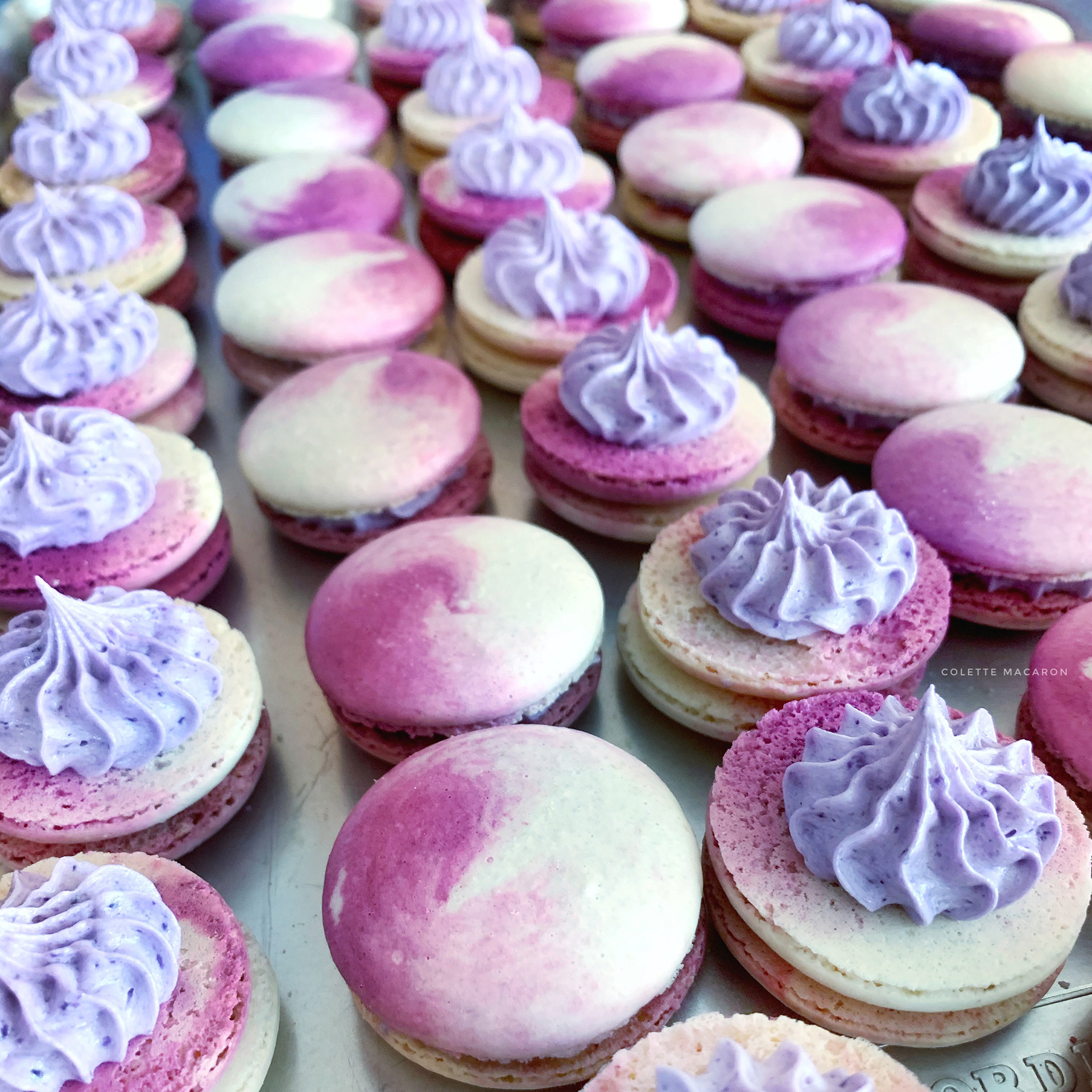 Colette Macaron | Insured French Macaron Bakery