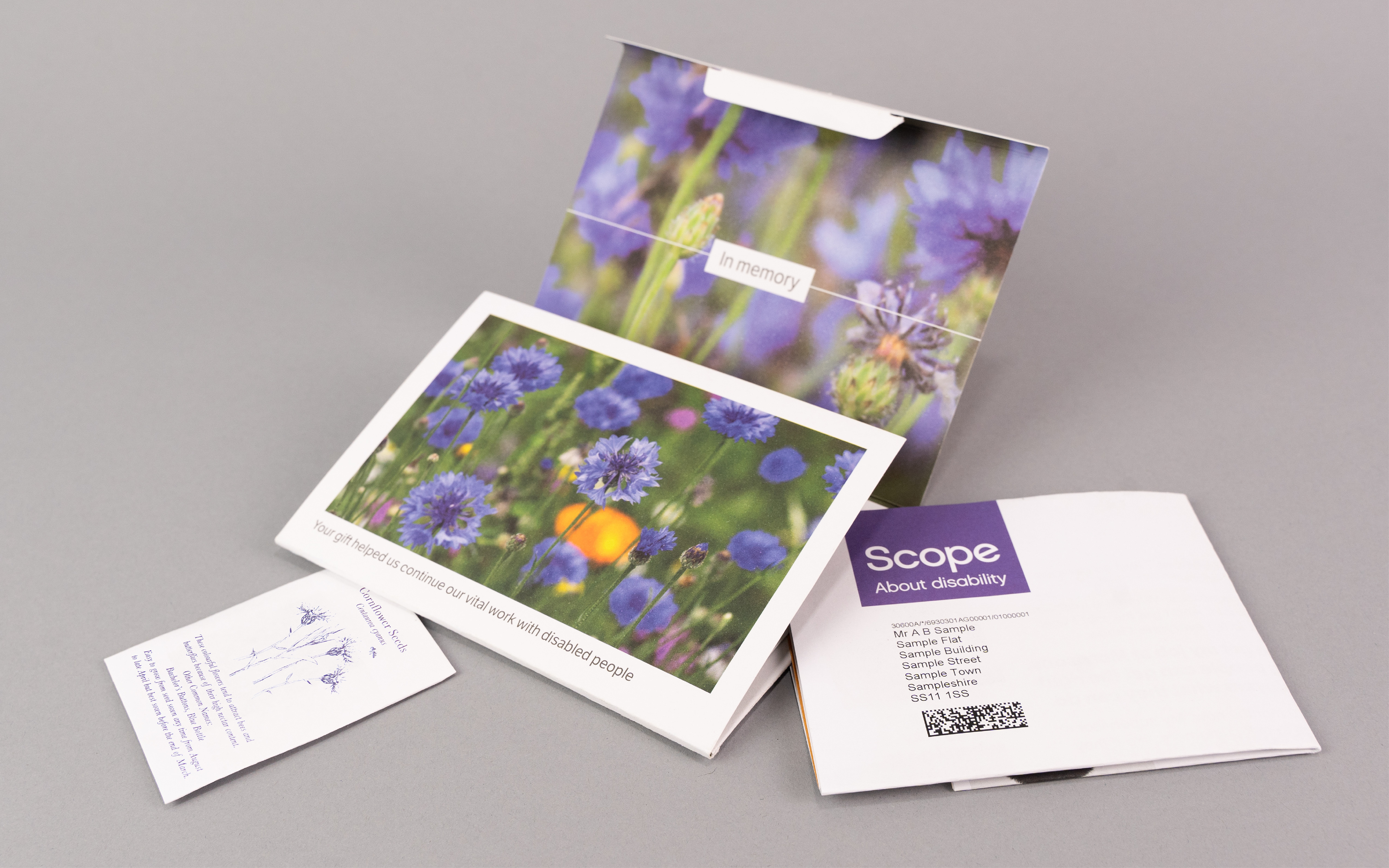 David Hibberd - Fundraising mailshots