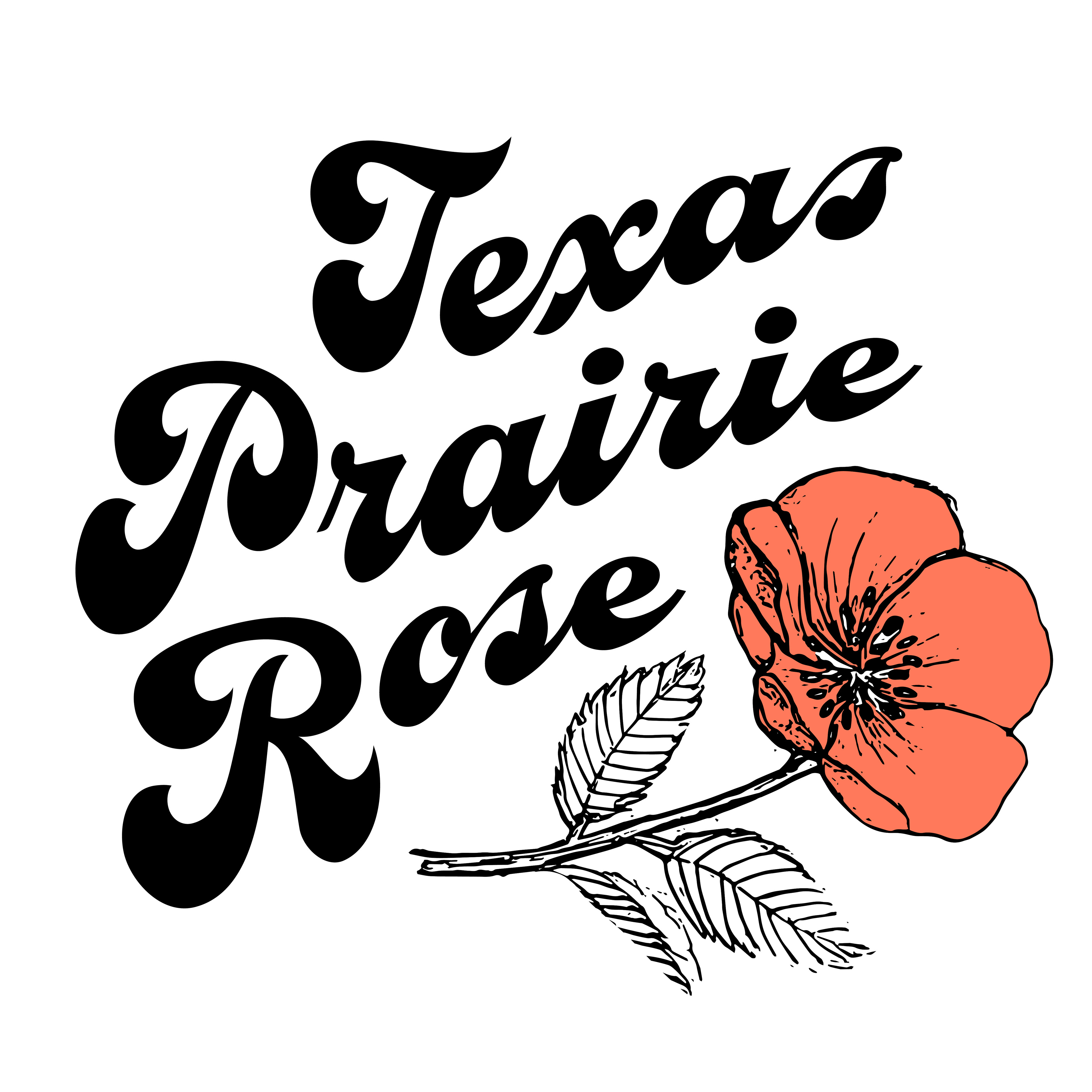 Morgan Brooke Design - Texas Prairie Rose Logo Design