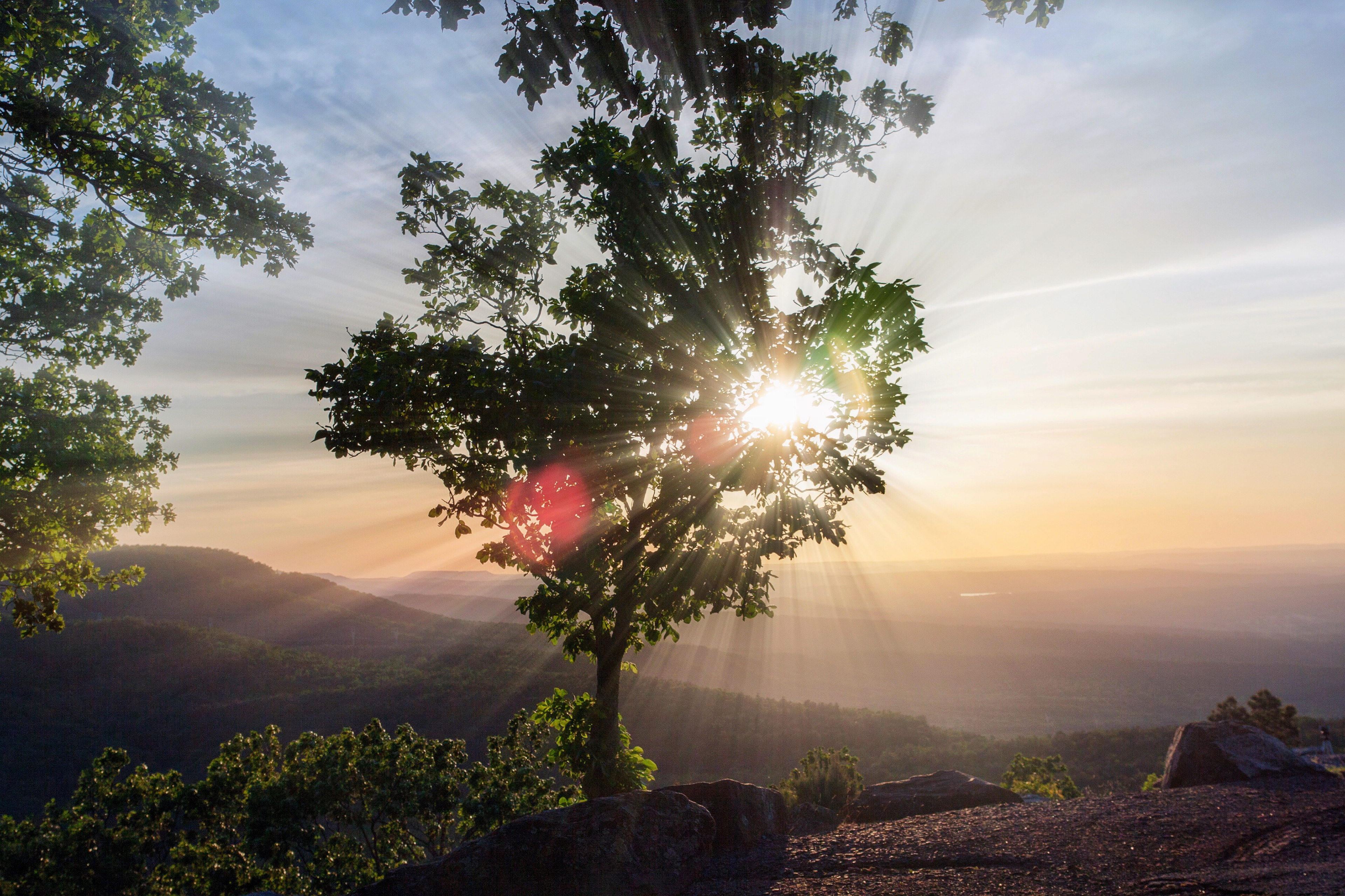 Meetjosue - Chasing Light