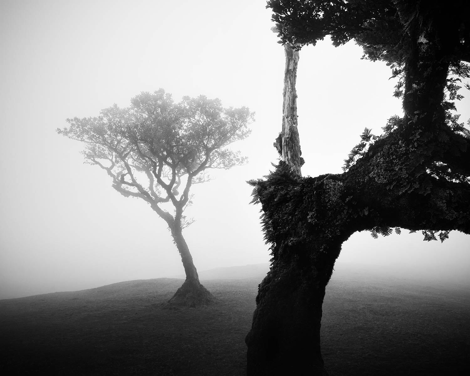Michael Schlegel - Landscape Photography - Fanal