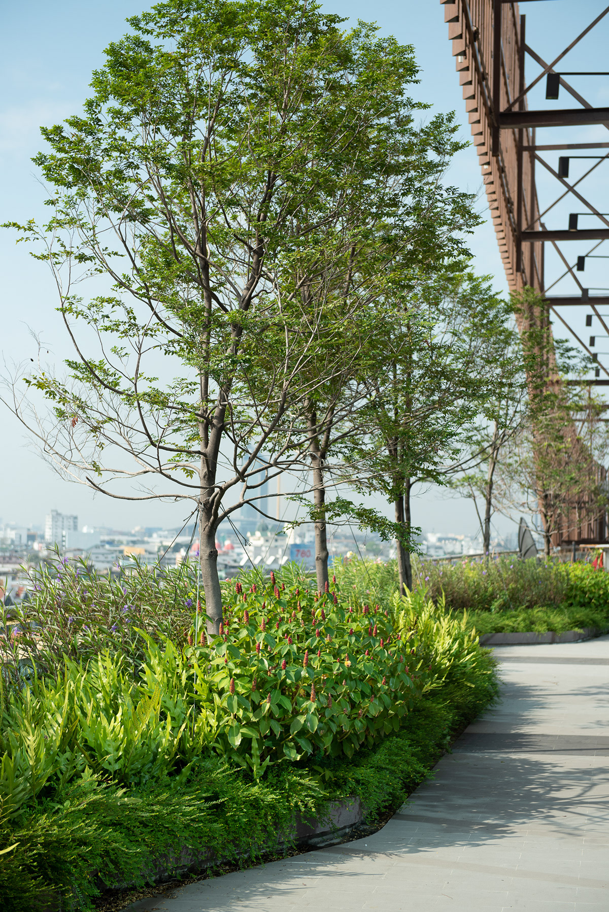 PanoramicStudio - CENTRAL RAMA III