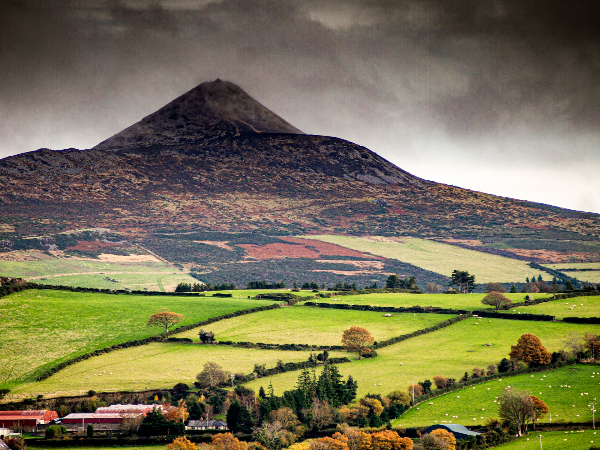 Adrian Redmond Photography - Dublin/Wicklow mountains
