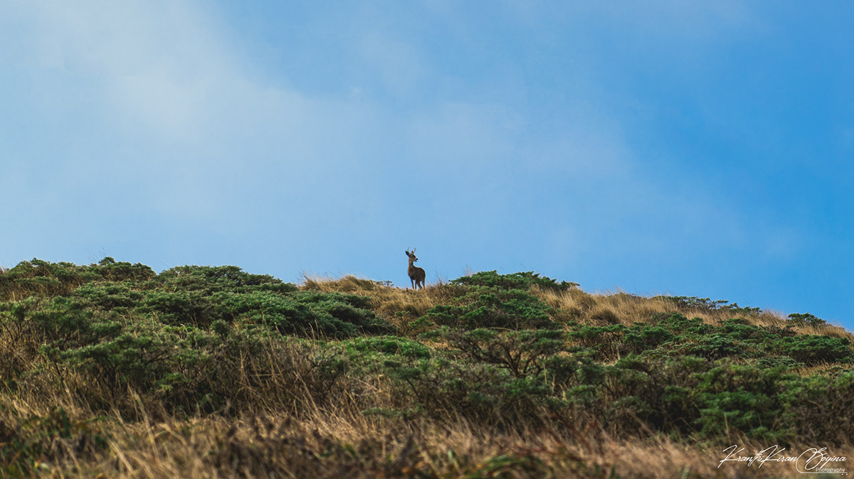 Kranthi Kiran Boyina - Point Reyes NP - California-US