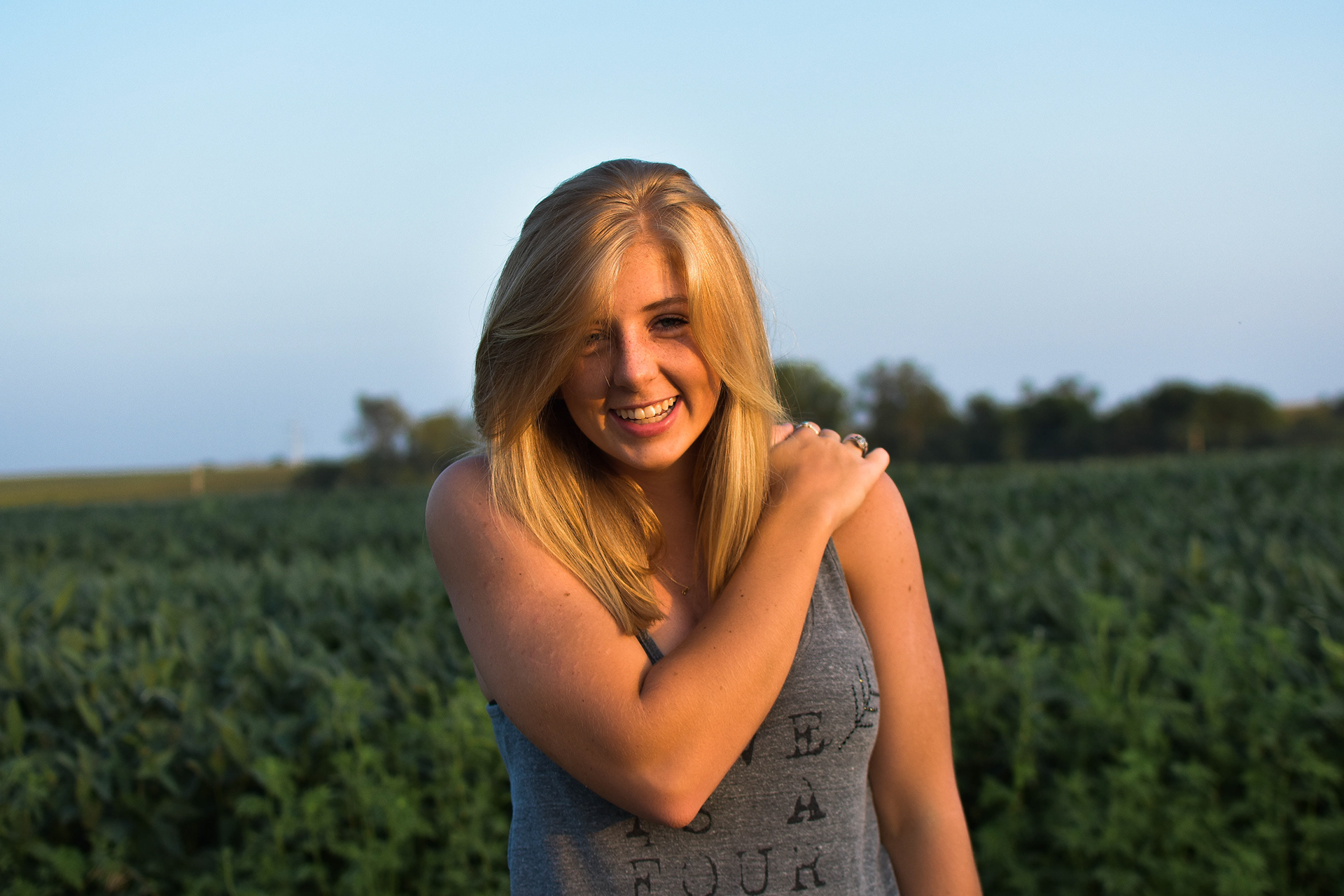 Avery Cook - Cornfield