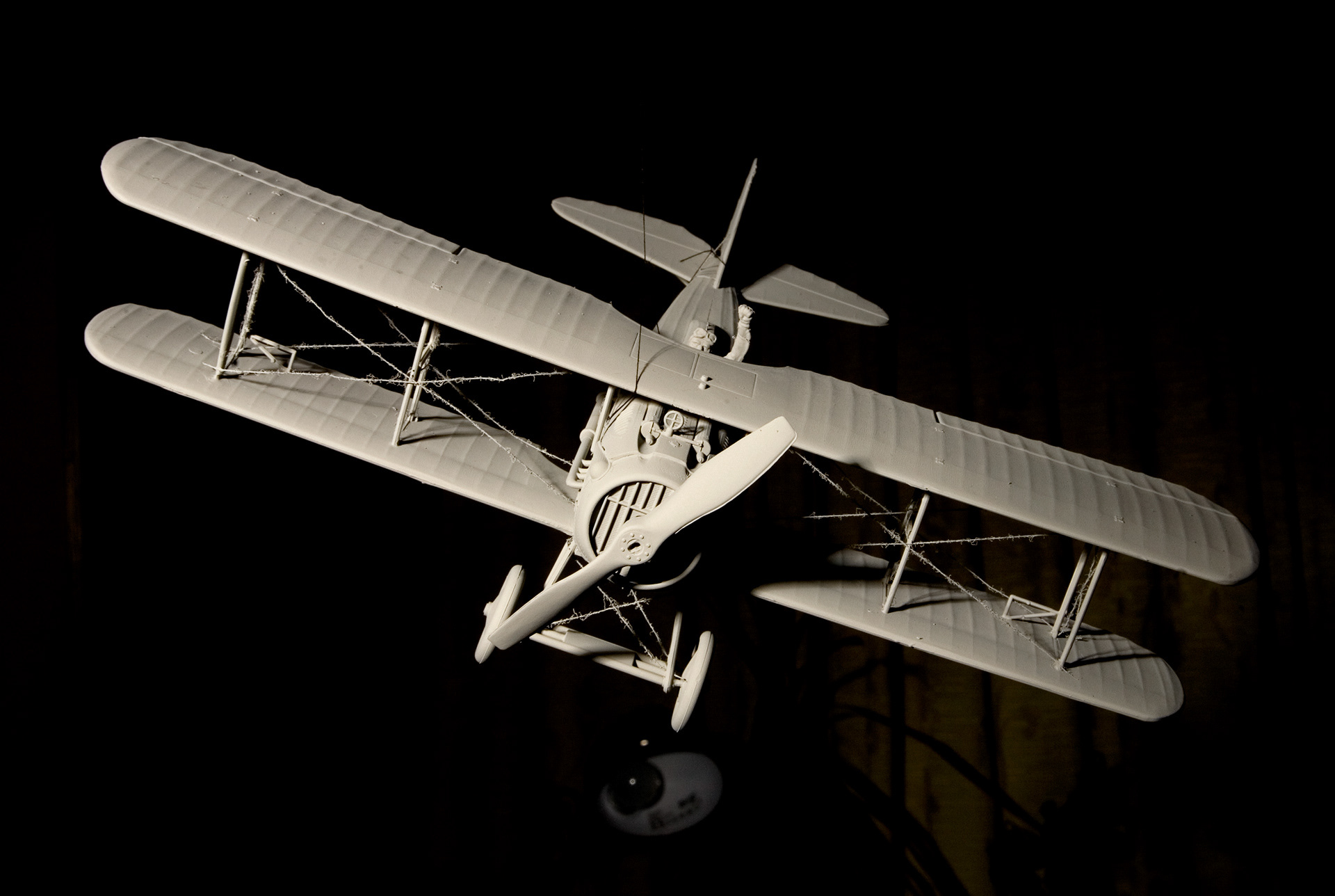 Sam Williams - Biplane