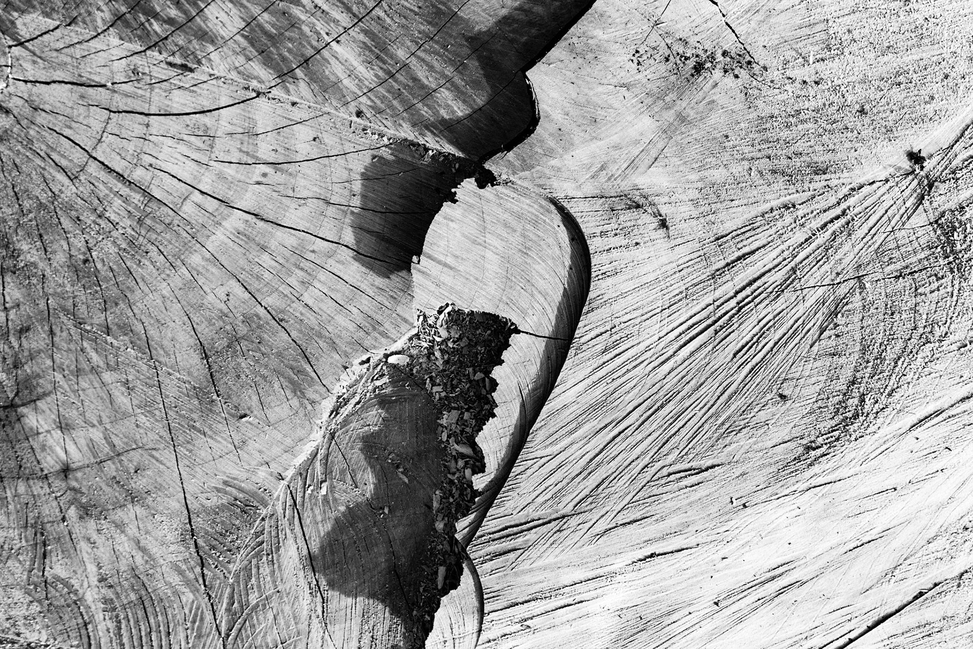 Stephen B. Hager | sbh-naturestudies - naturescapes