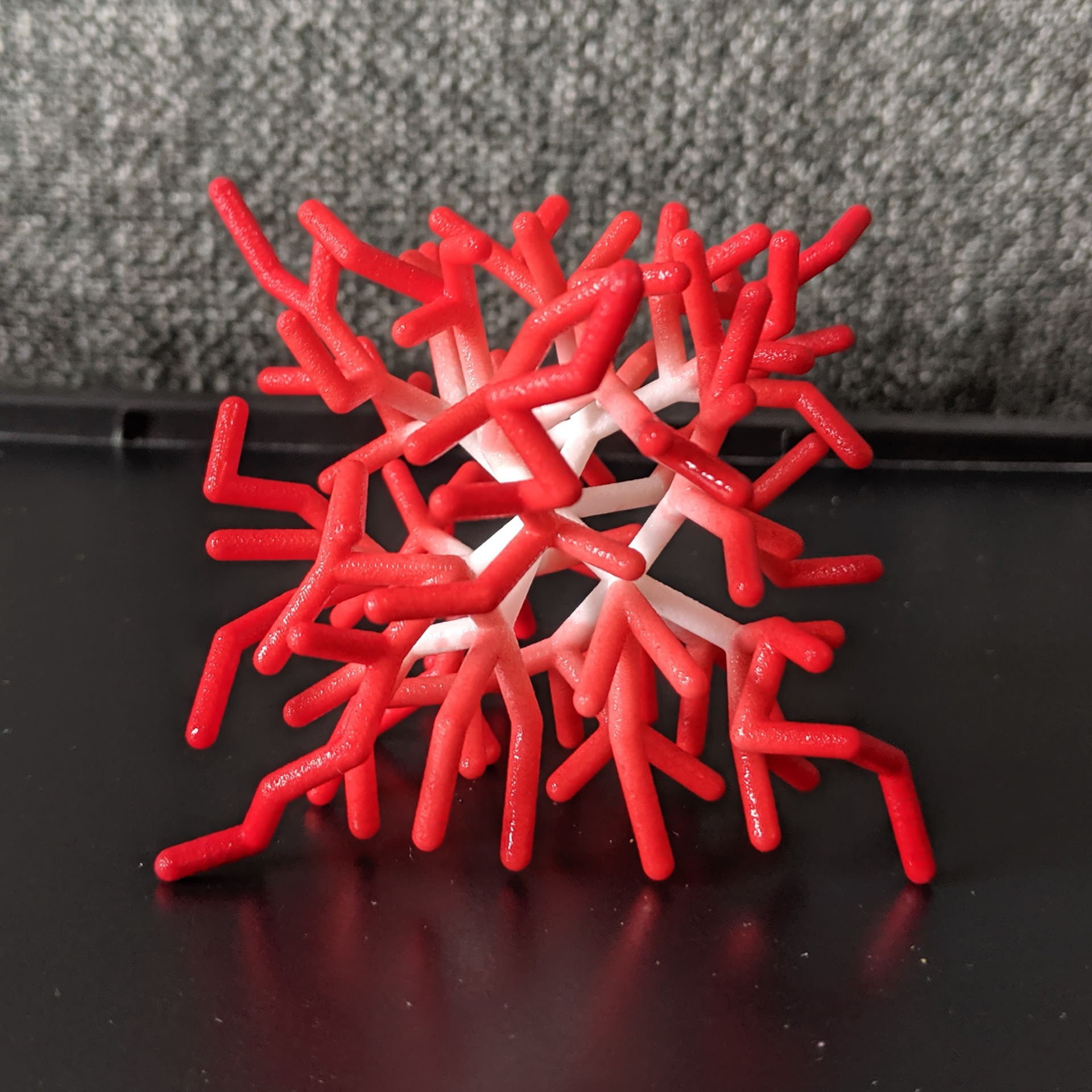 Christopher Hanusa - Platonic Neurons