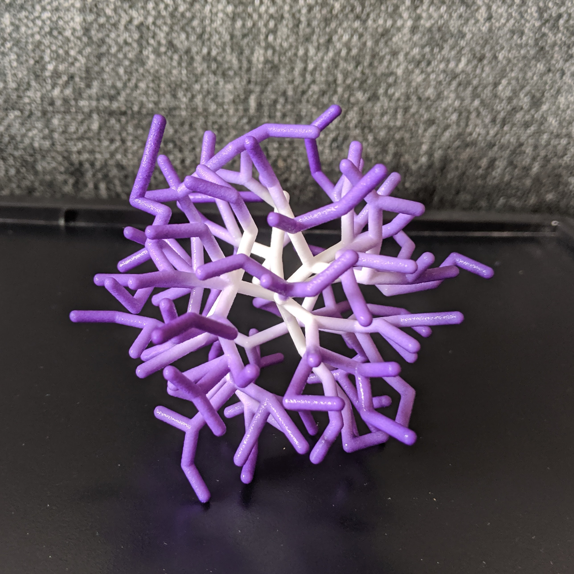 Christopher Hanusa - Platonic Neurons