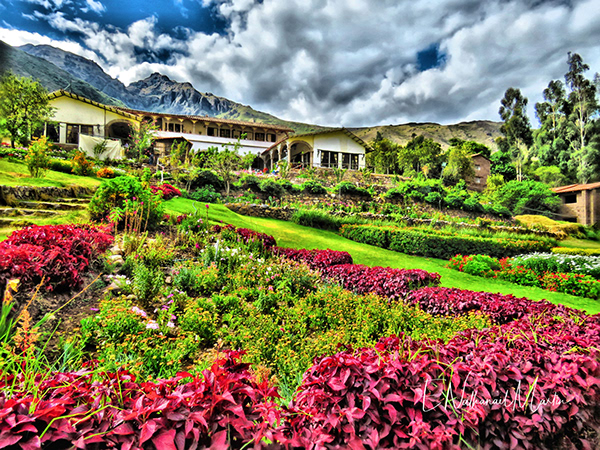 Nature by Nat Photography - Peru