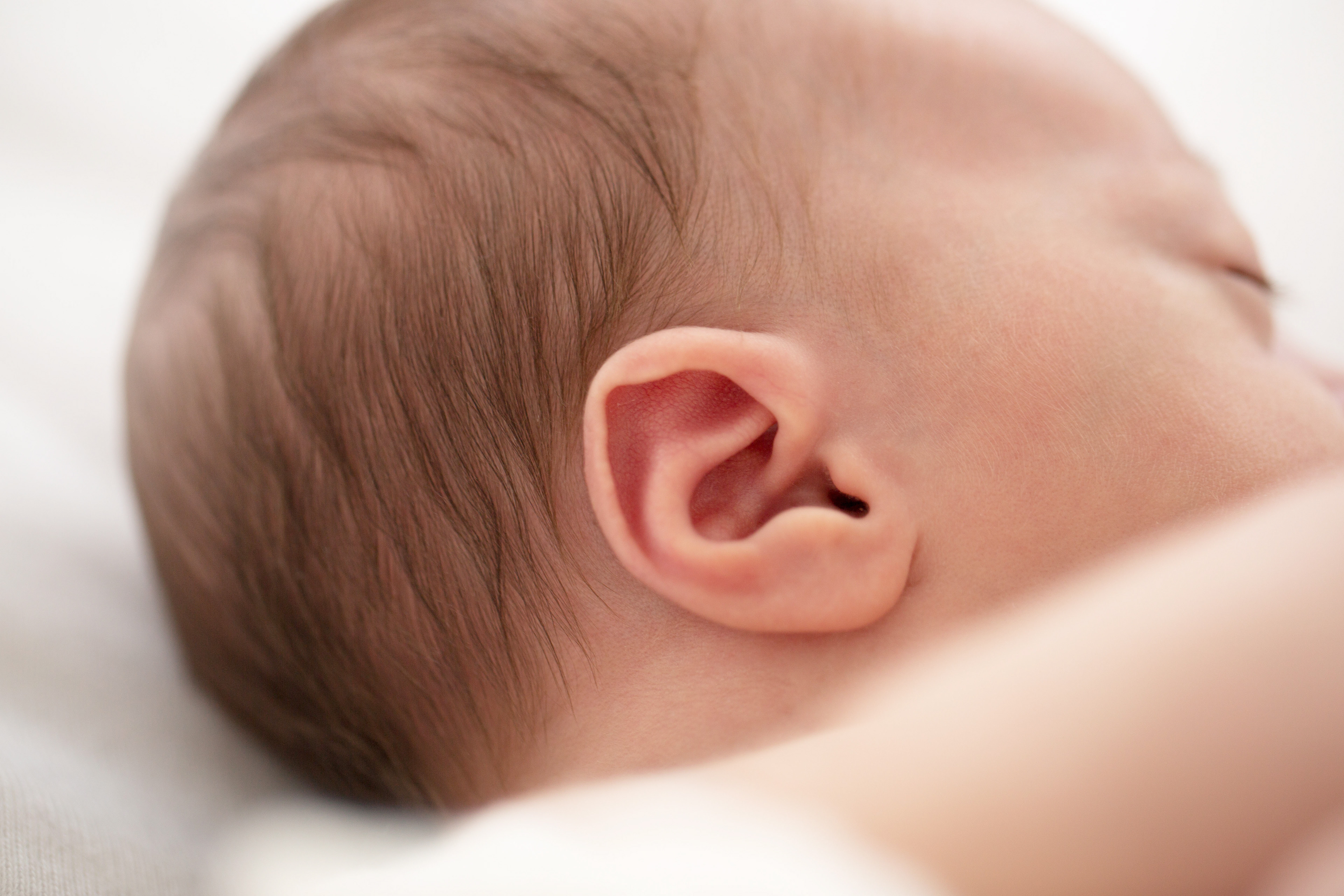 Newborn Photographer Plano TX - Artfitnessflow Photography - Newborn ...