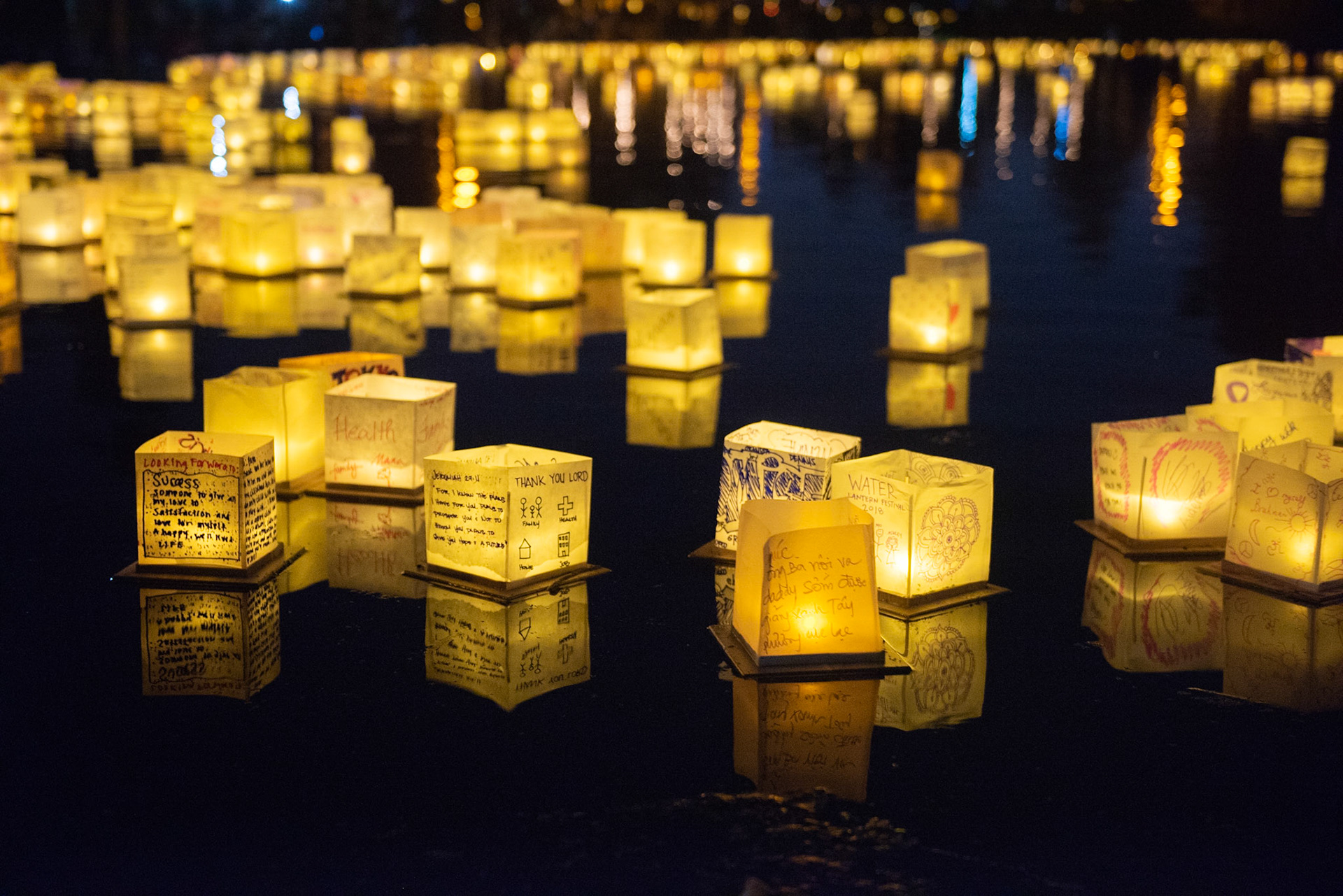 Vivid Corvid Photography - Water Lanterns
