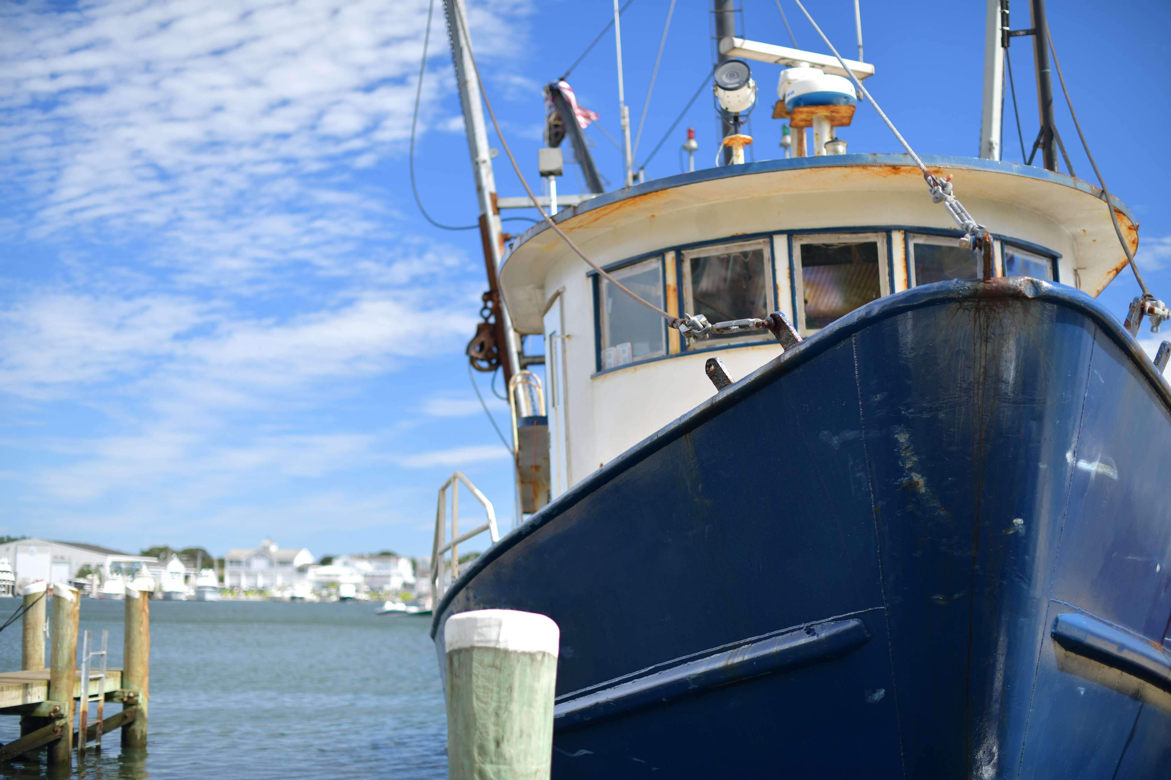 Paul Picazo - Vehicles