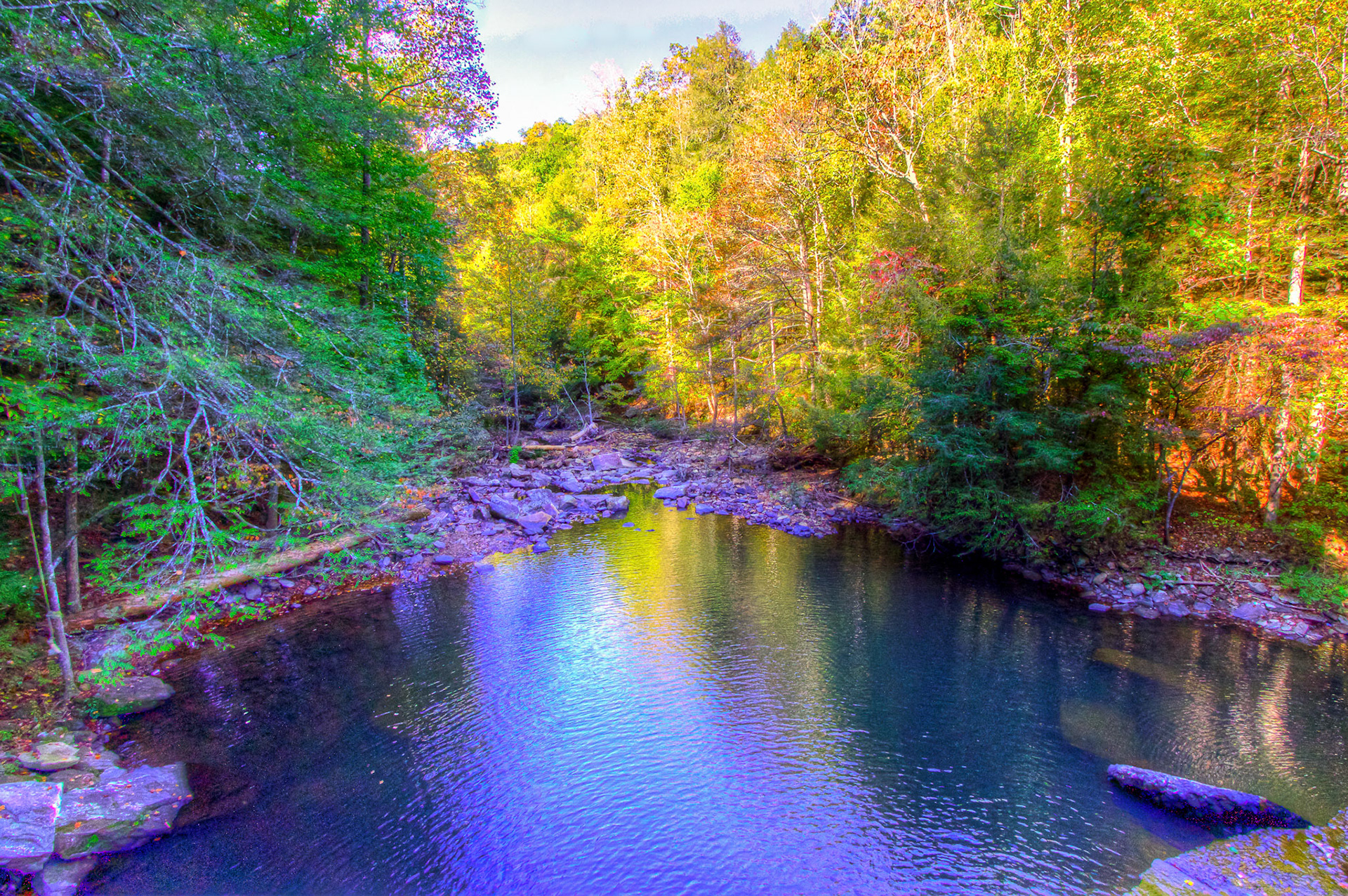 Lyle Dorman - Forest/Fields/Meadows