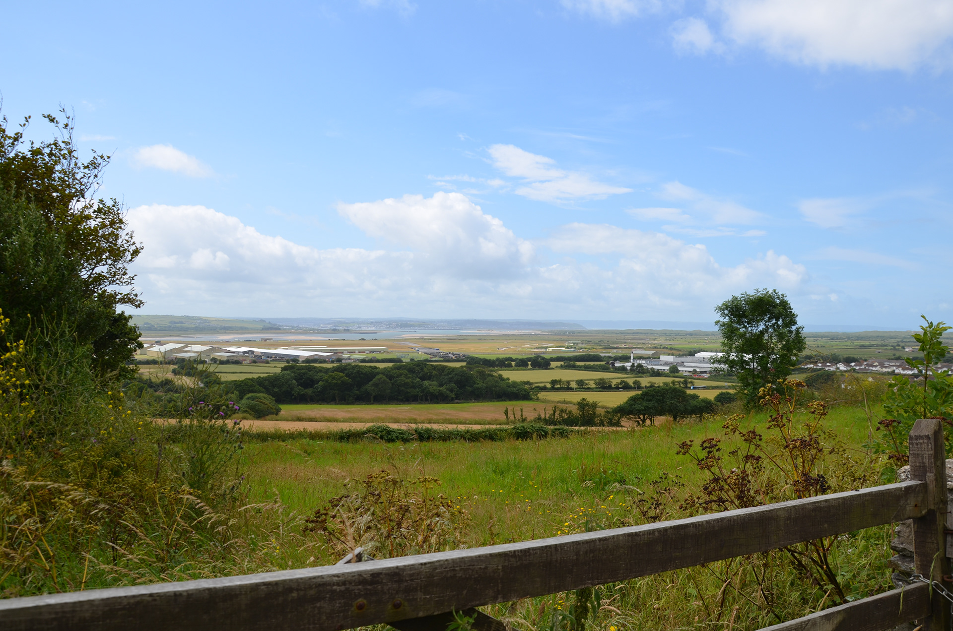 Serena Simpson - Devon