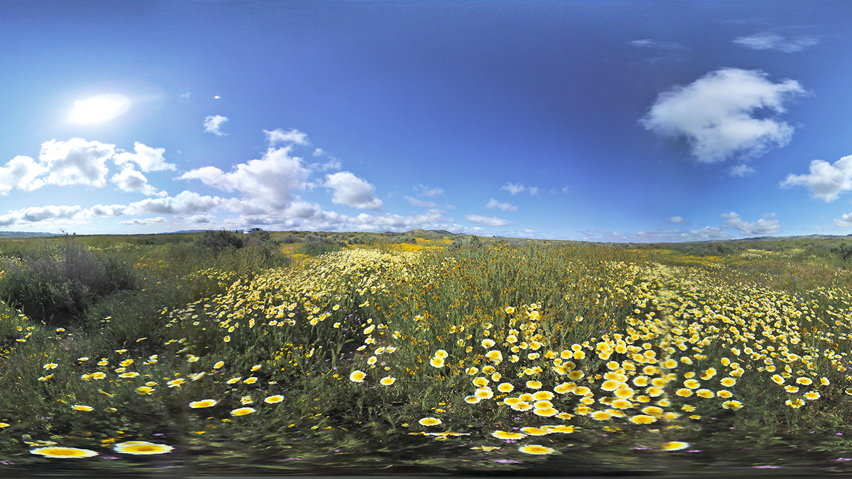 Stephen Studyvin - HDR Environments & Panoramas