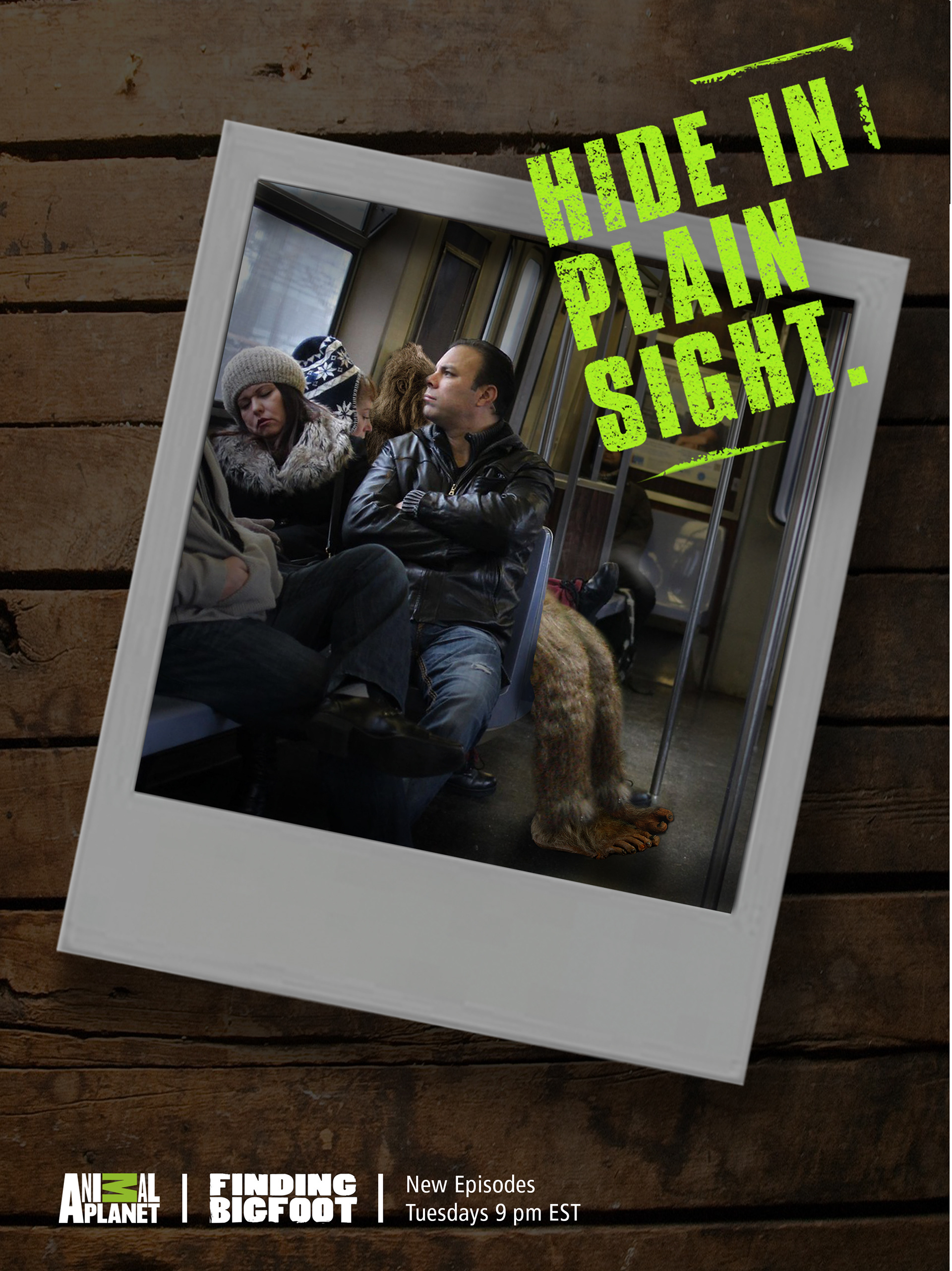 Amy Couch - Finding Bigfoot