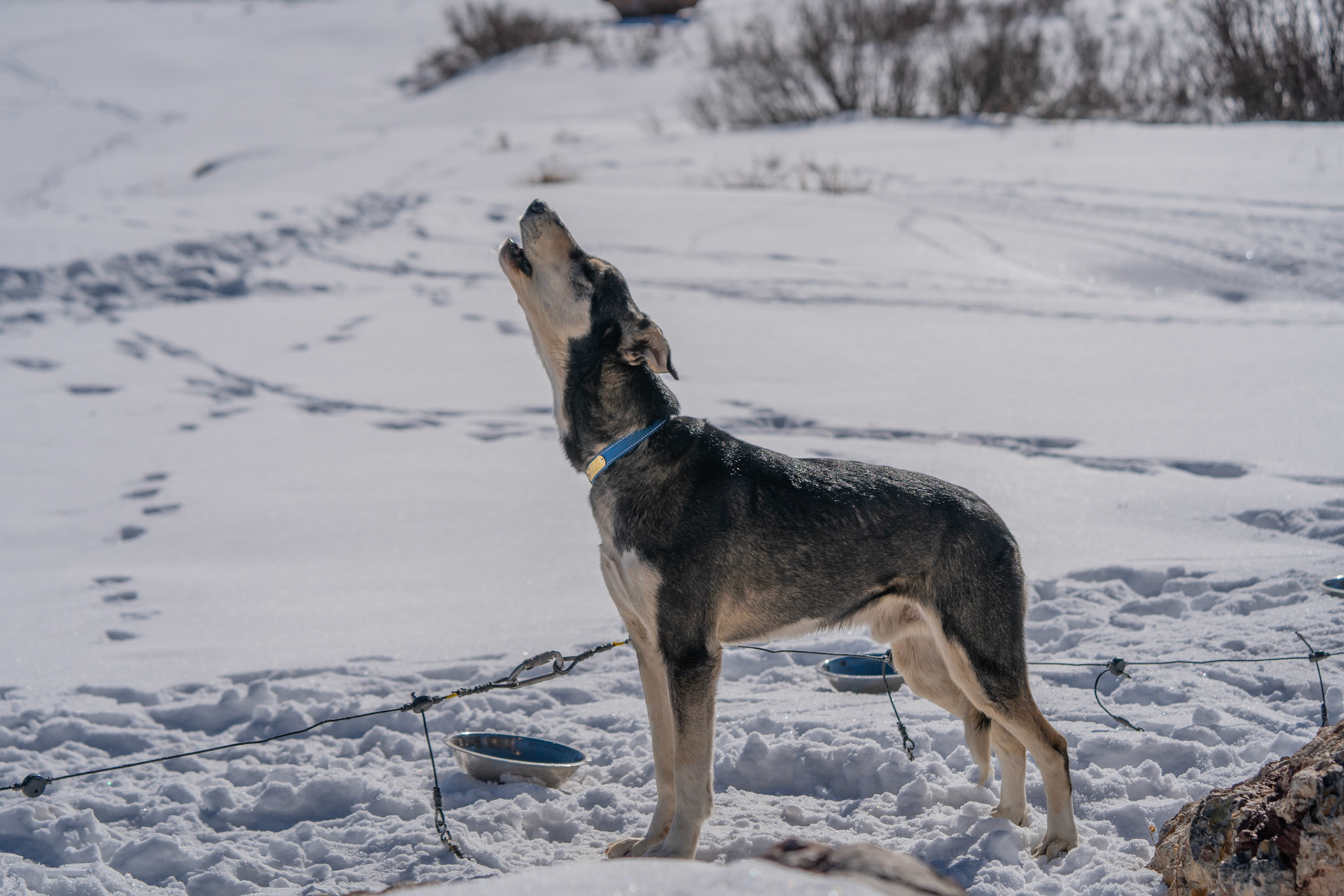 Grumpyhighlander Mountain , Landscape and Adventure Photography ...