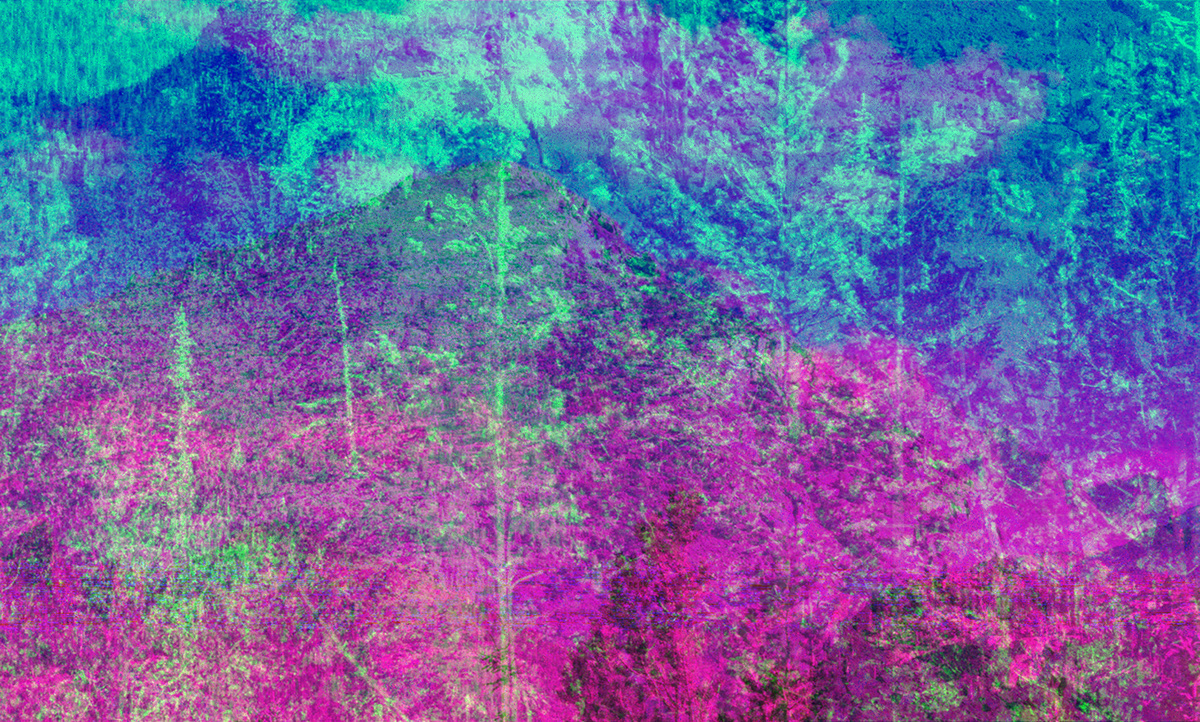 Brandon Cranford - Artist - Corrupted Landscape