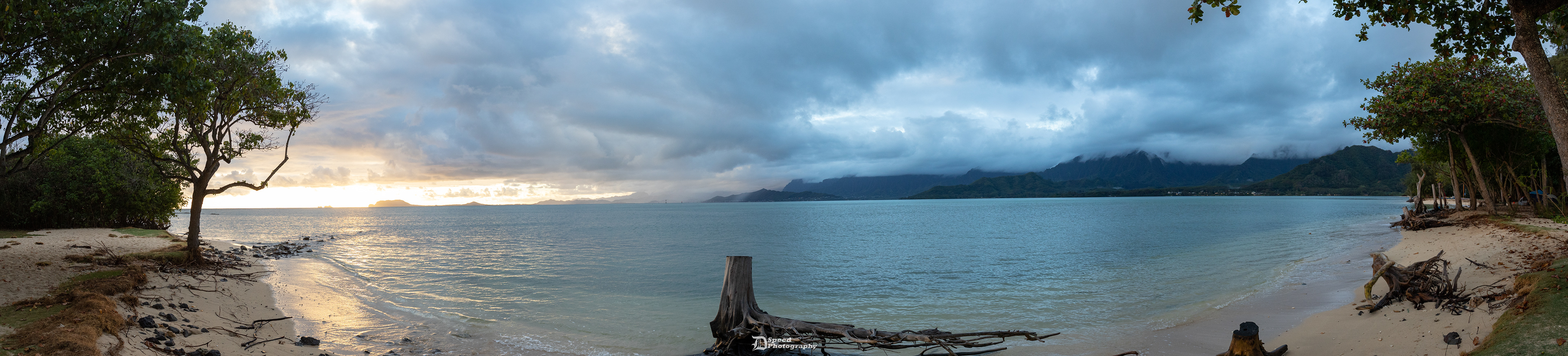 David DeRoo - Adventures in Oahu