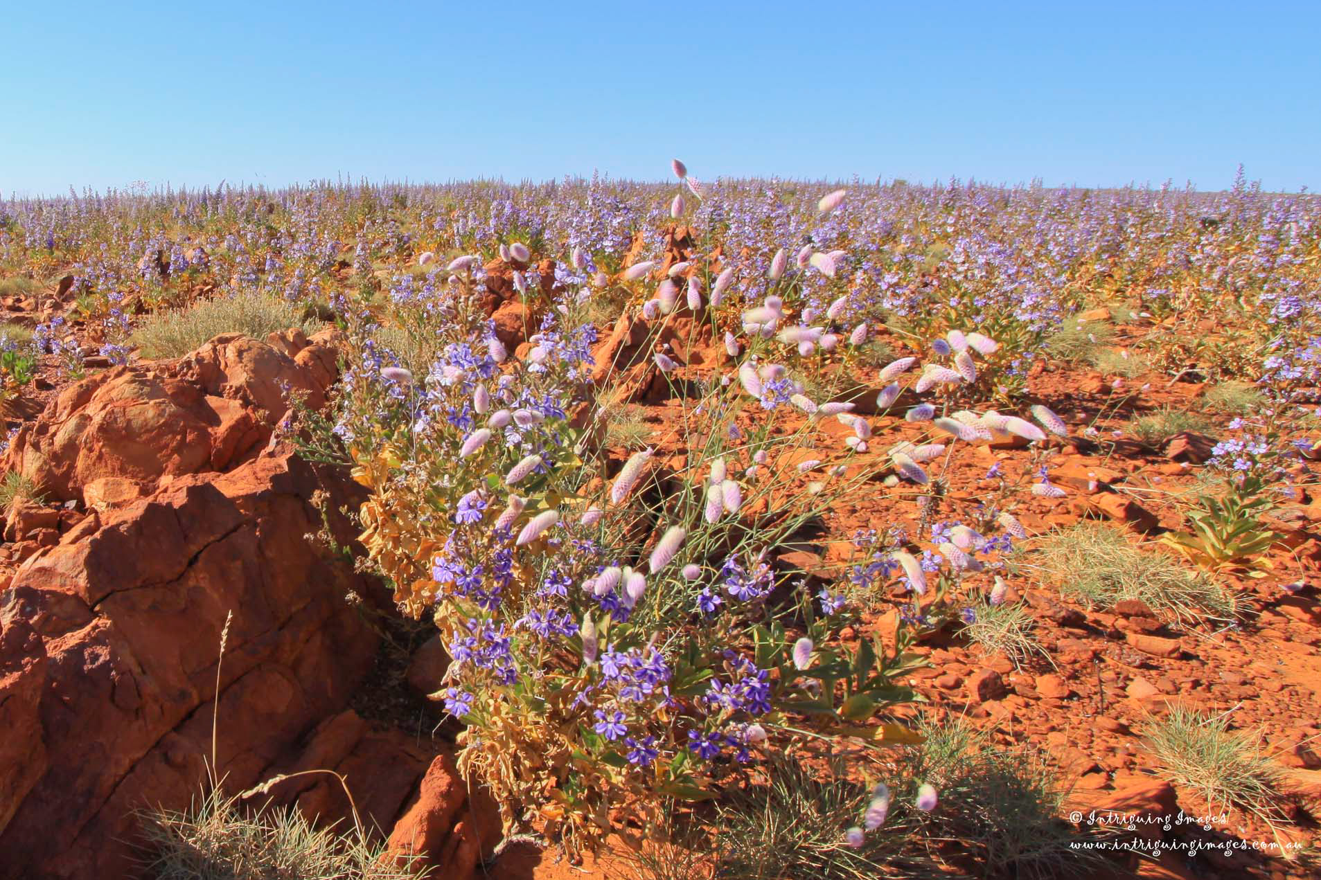 Intriguing Images - Pilbara region, Western Australia