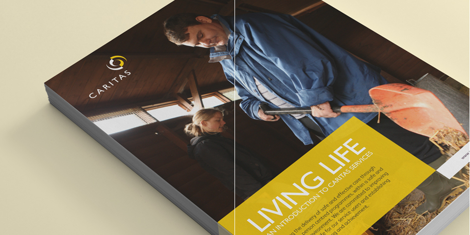 David Commins - Caritas Services