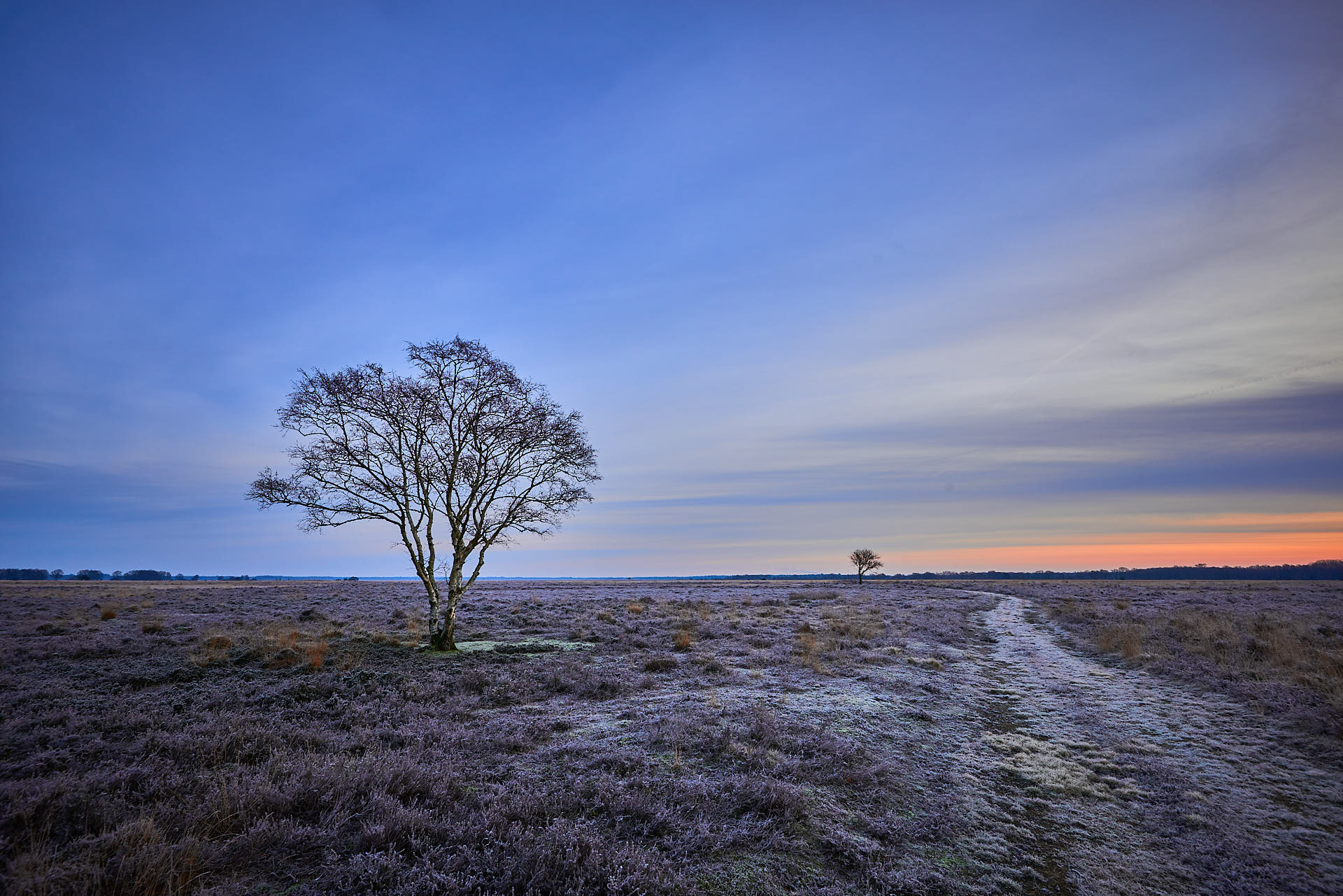 NETHERLANDSCAPES | Danny Tax Creative | Landschapsfotografie ...