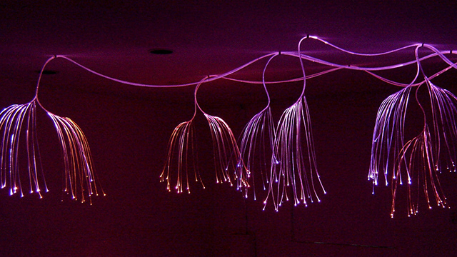 mcdermott baxter - ICE