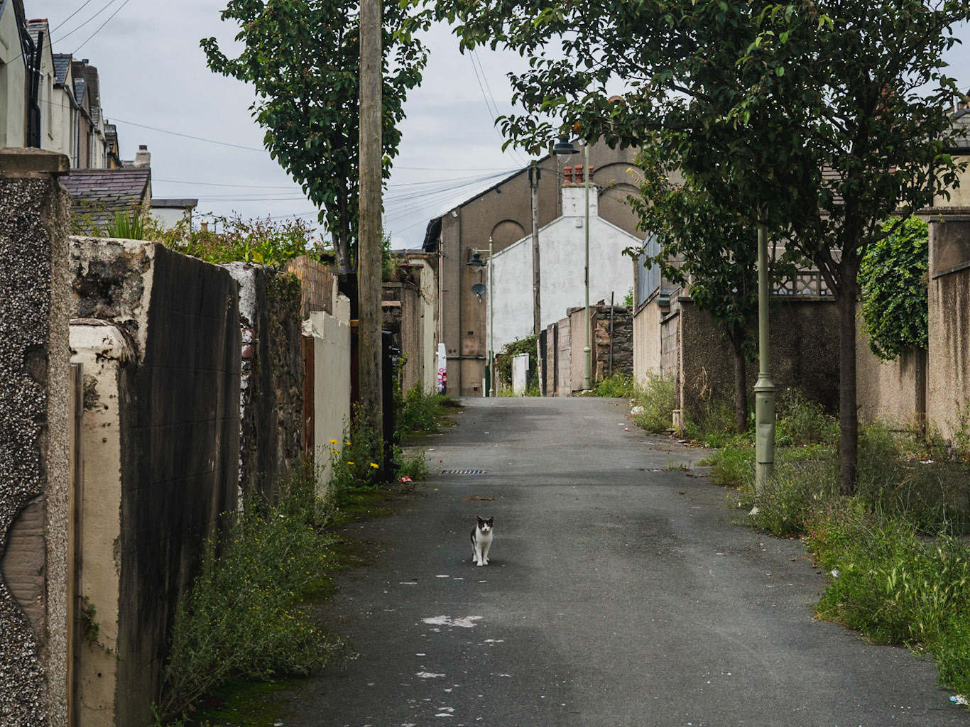 martin jeffery - Avenues And Alleyways