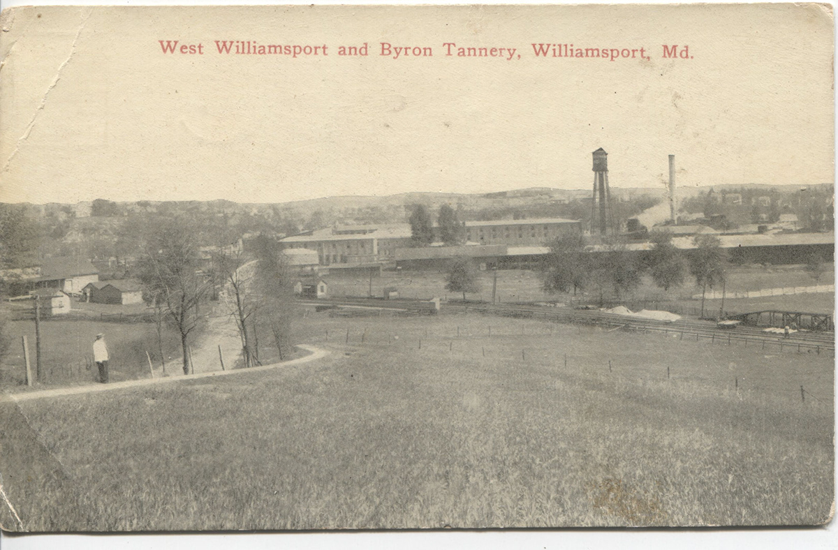 Williamsport Area Historical Association - Postcards - Williamsport