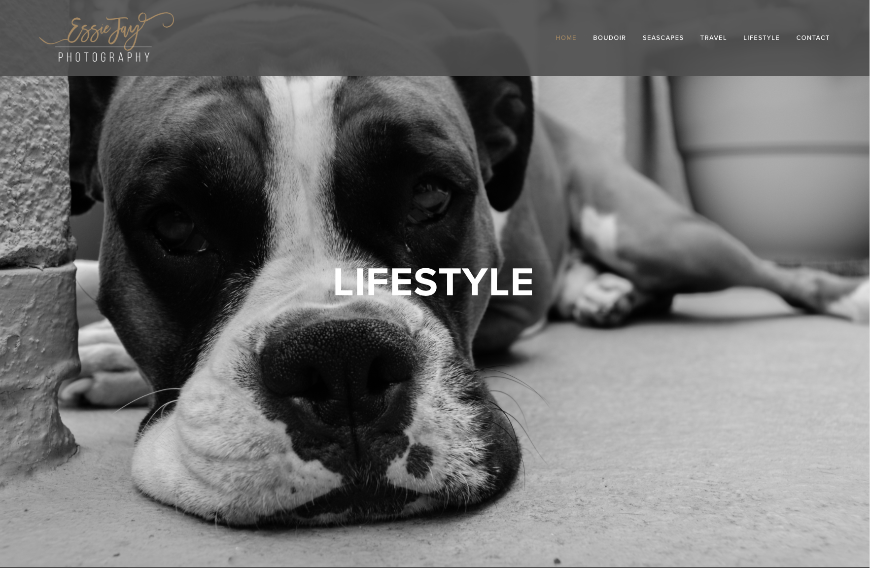 bre shepherd - Identity | Blog design