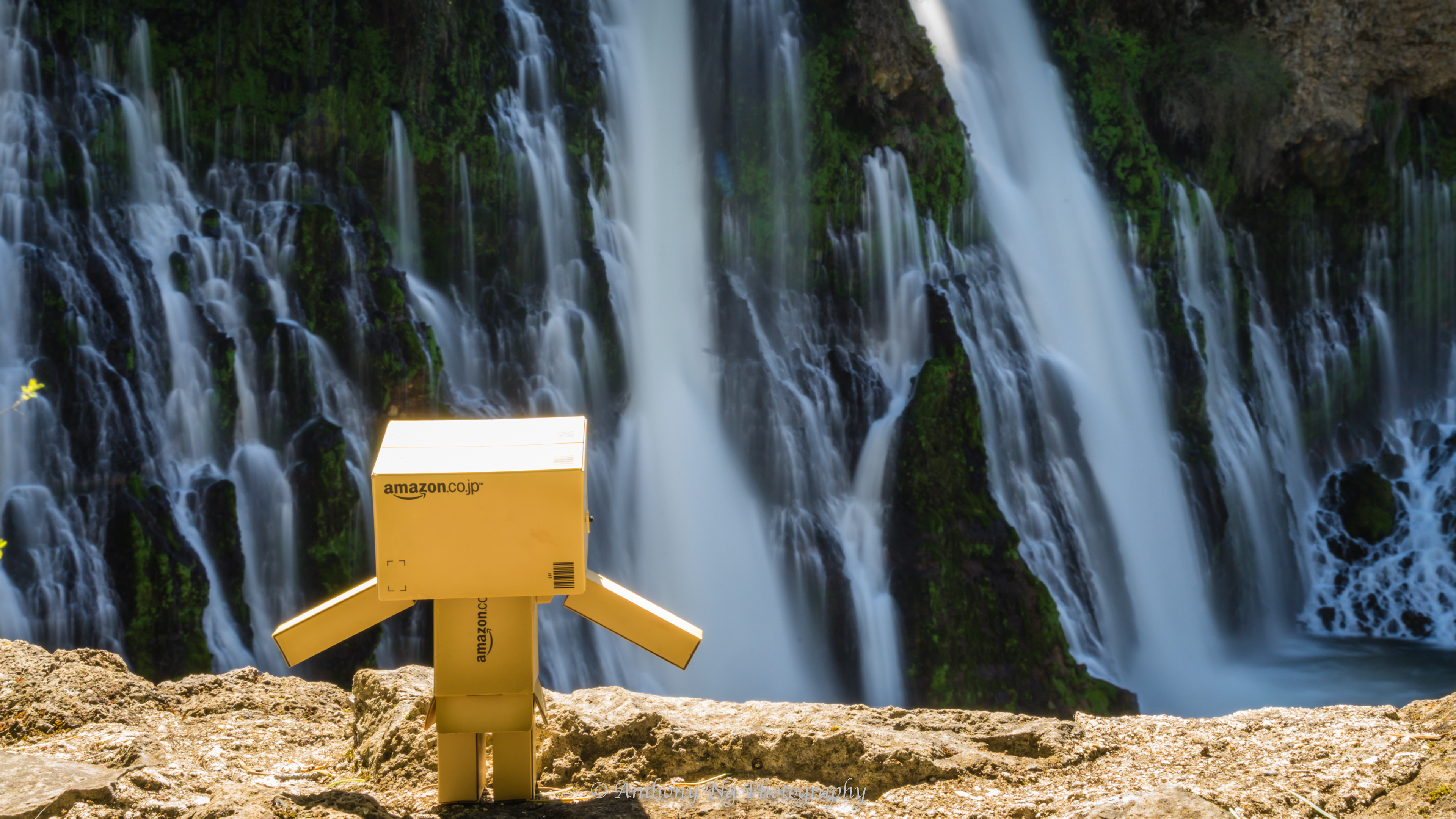 Anthony Ng | Photography - Danboard