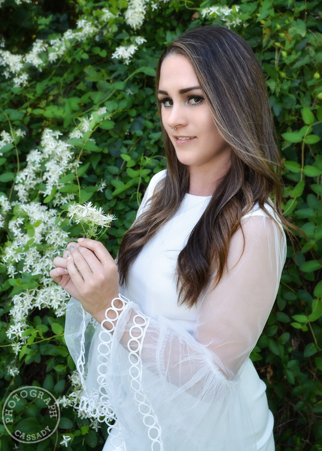 Bob Cassady - Photographer - What's new