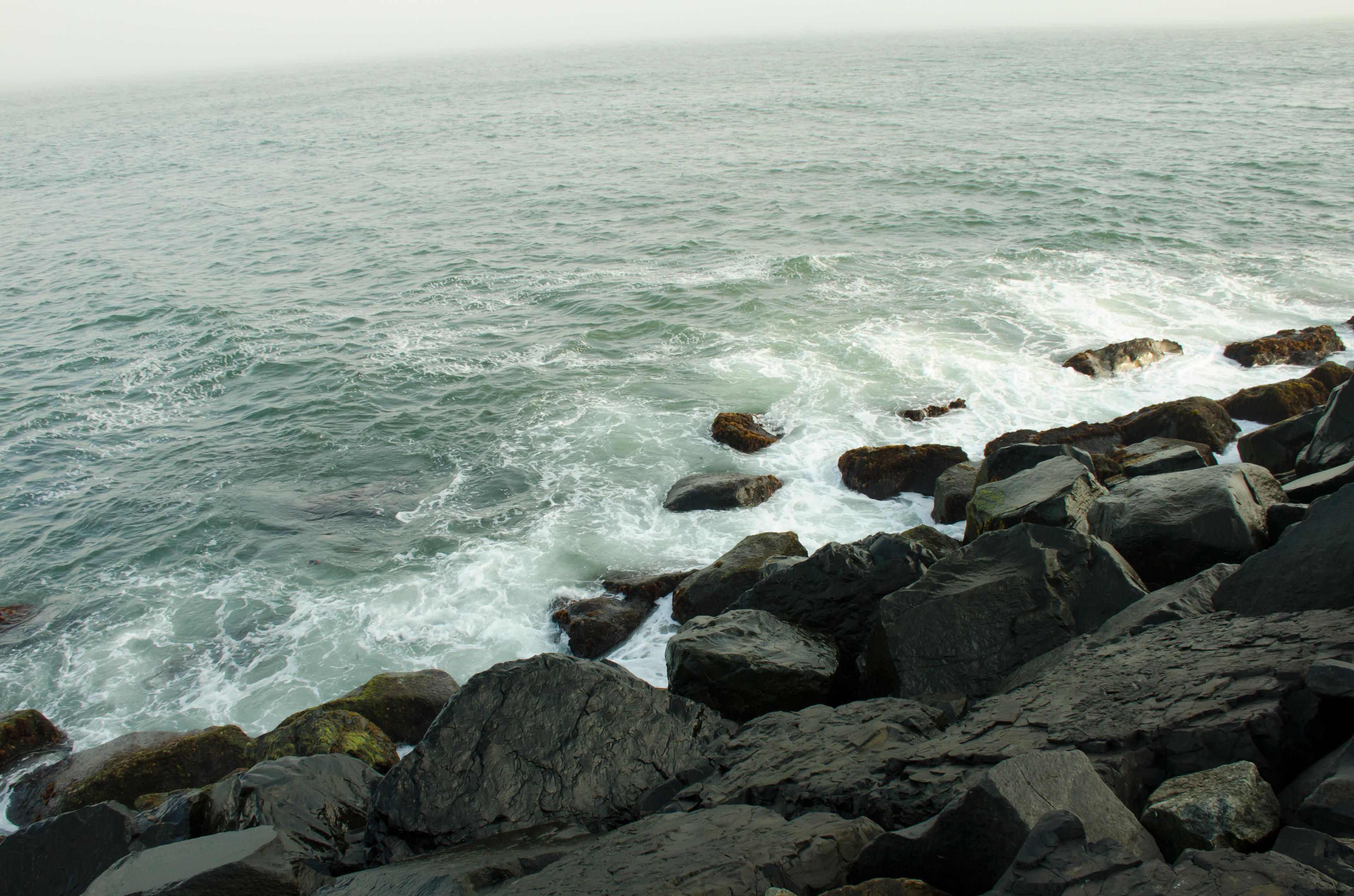 Joseph Provenza - Long Island